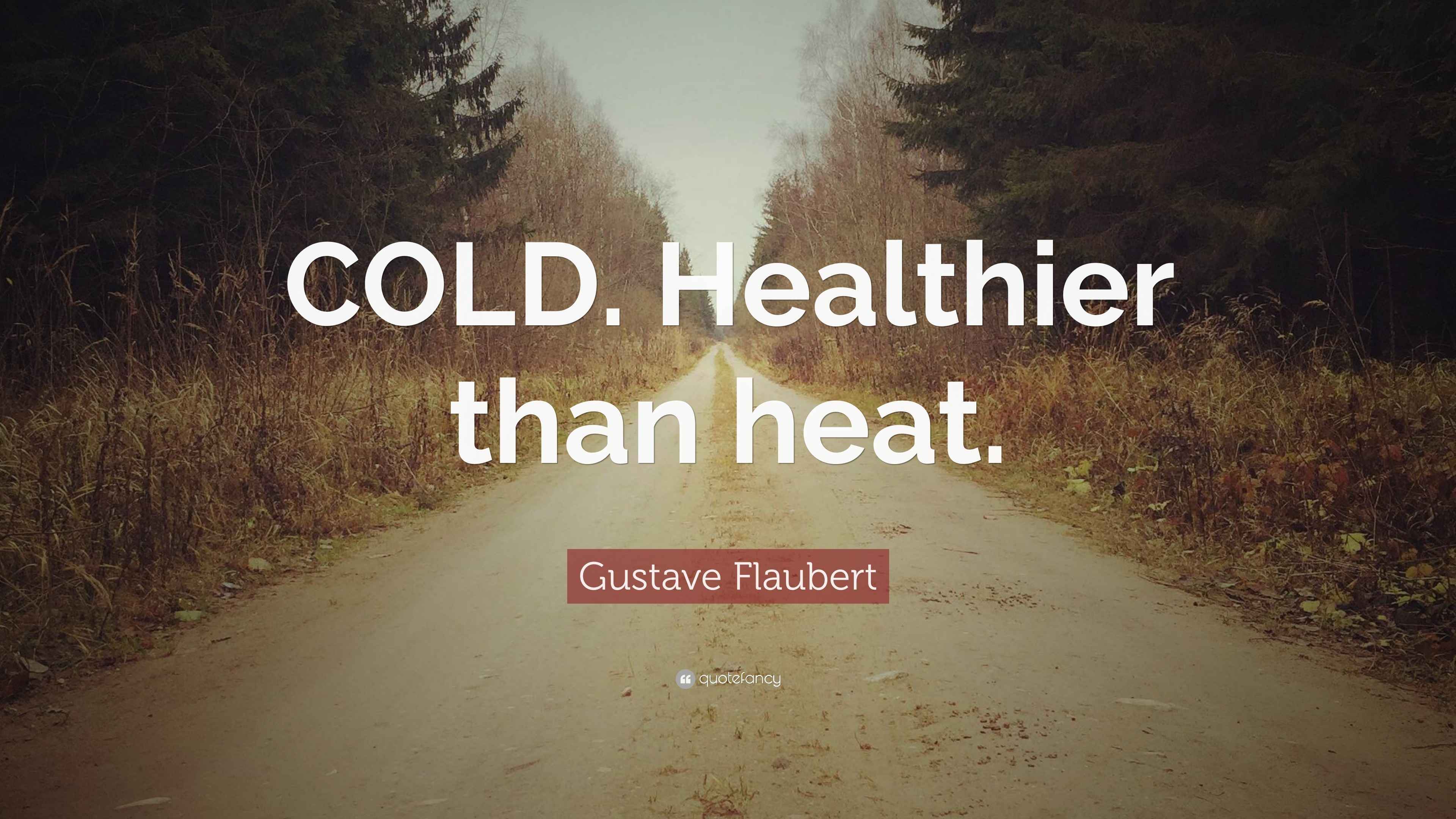 Gustave Flaubert Quote: “COLD. Healthier than heat.”