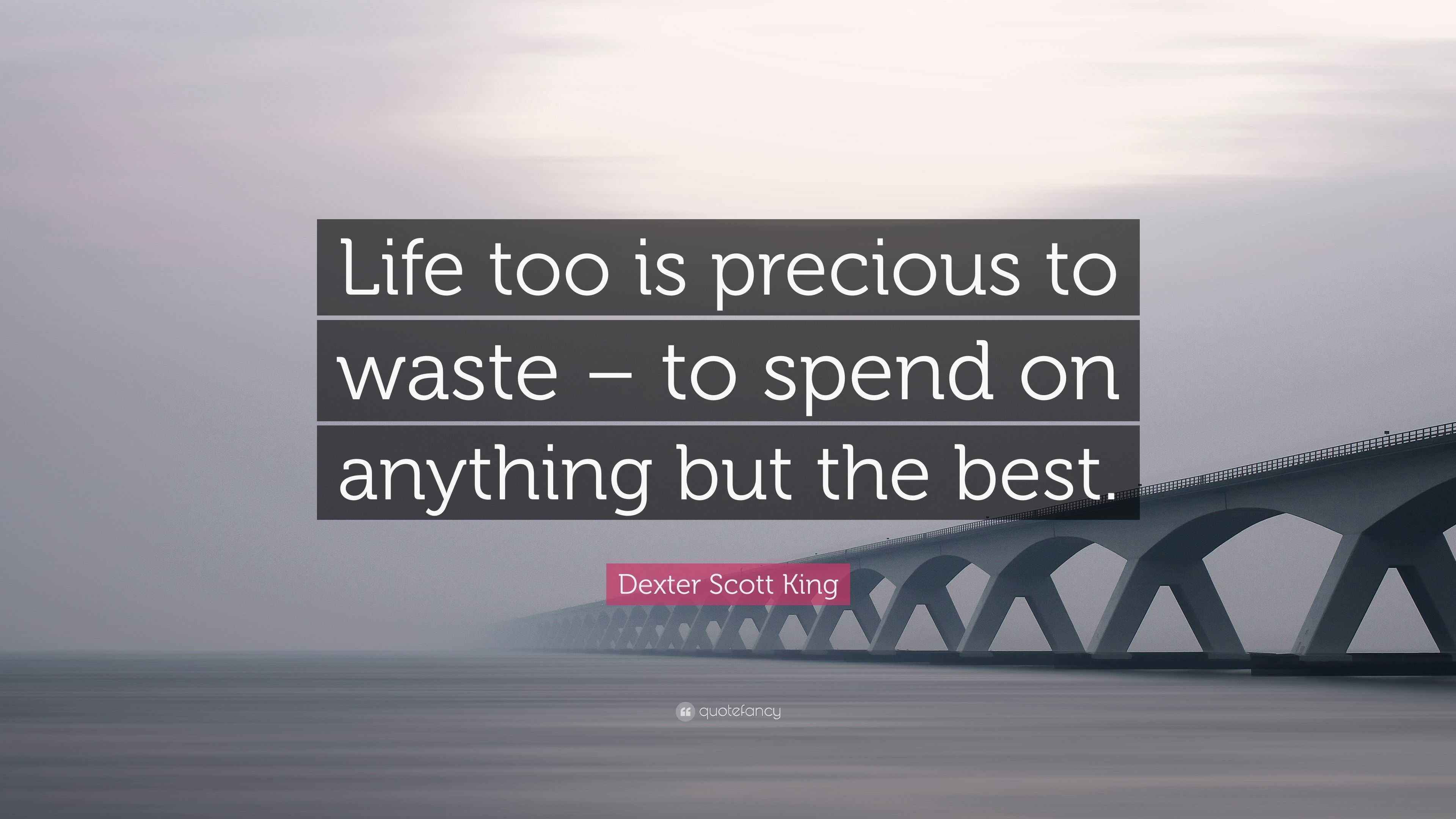 Dexter Scott King Quote: “Life too is precious to waste – to spend on ...