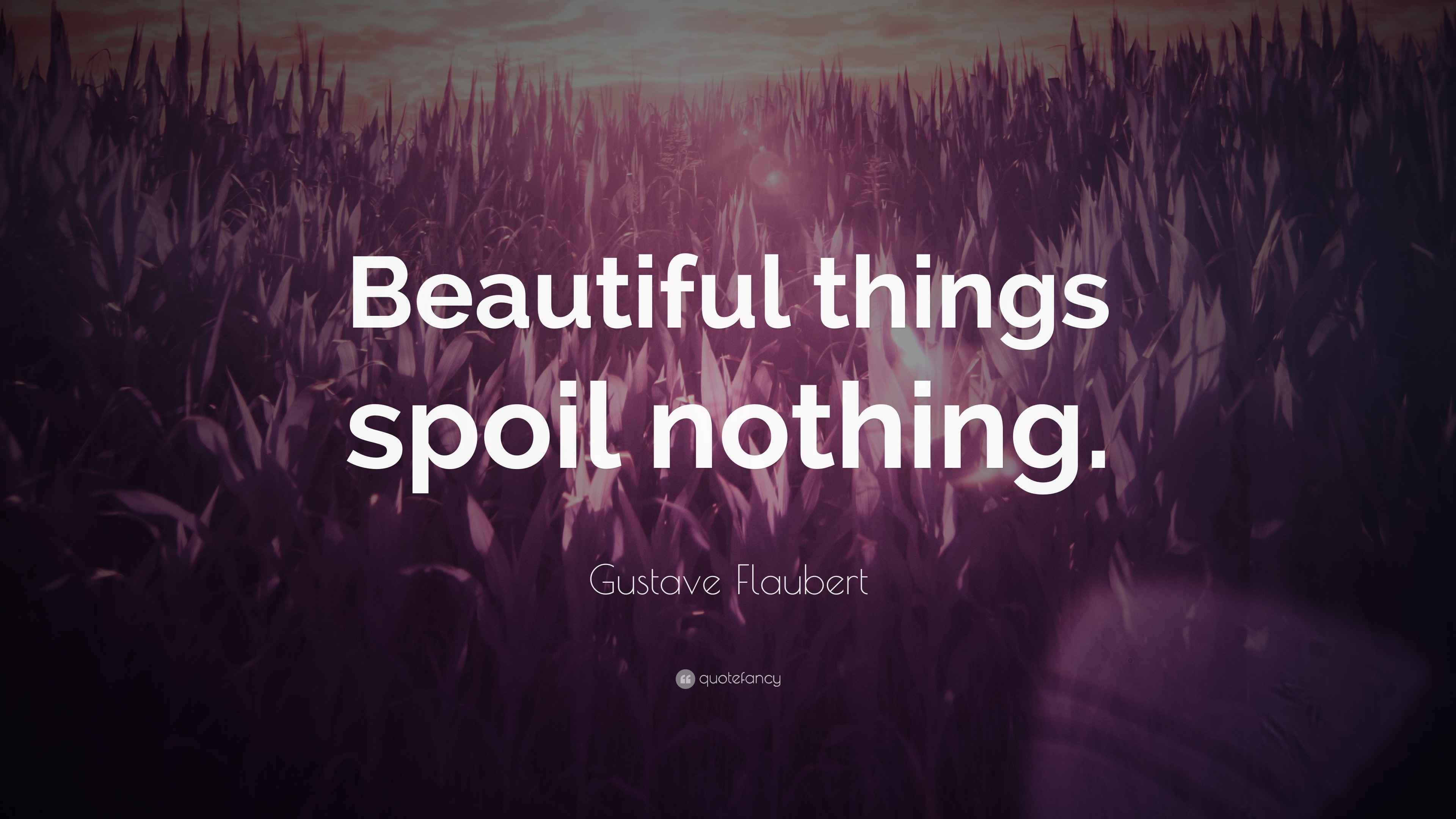 Gustave Flaubert Quote: “Beautiful things spoil nothing.”