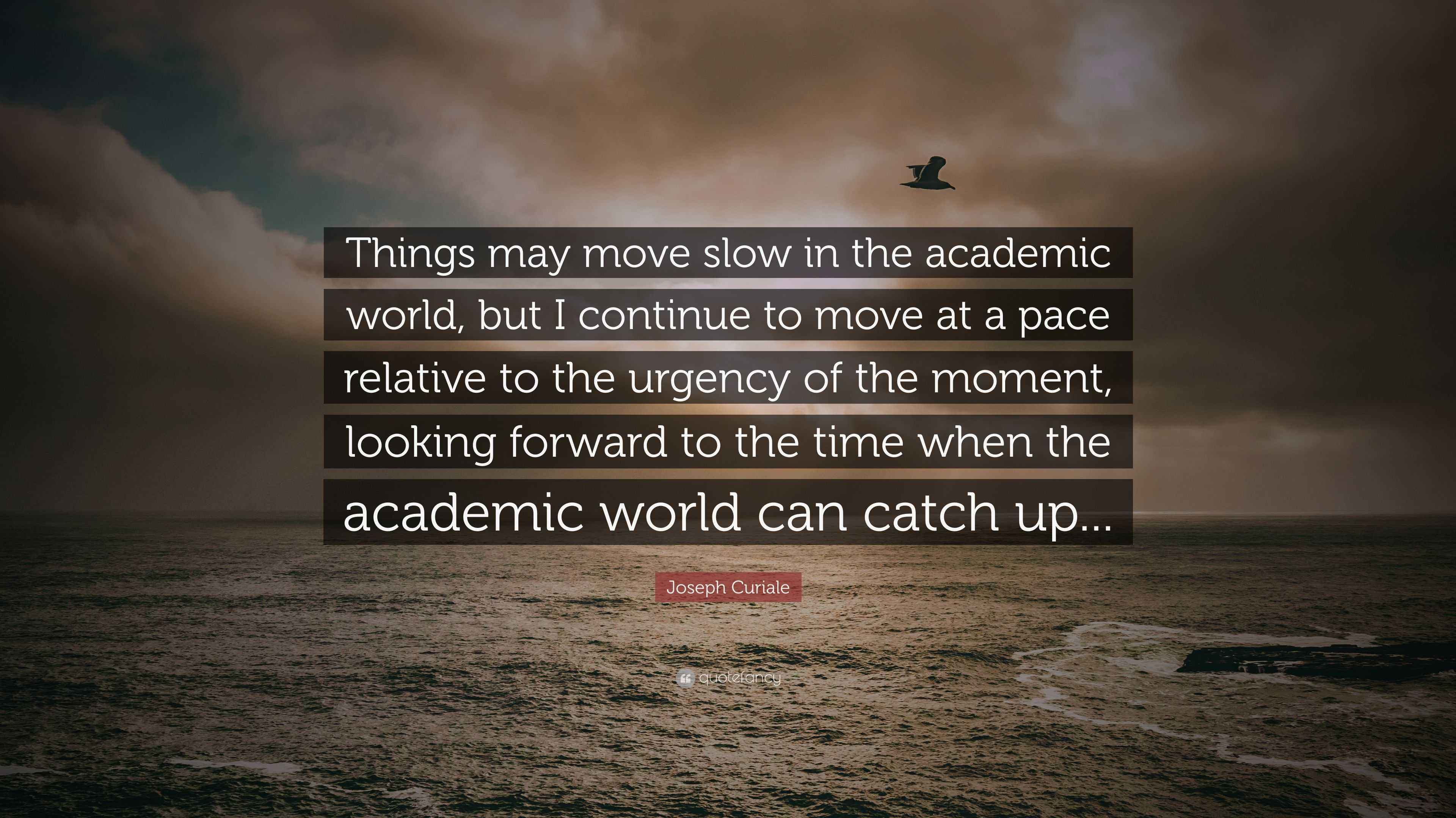 Joseph Curiale Quote: “Things may move slow in the academic world, but ...