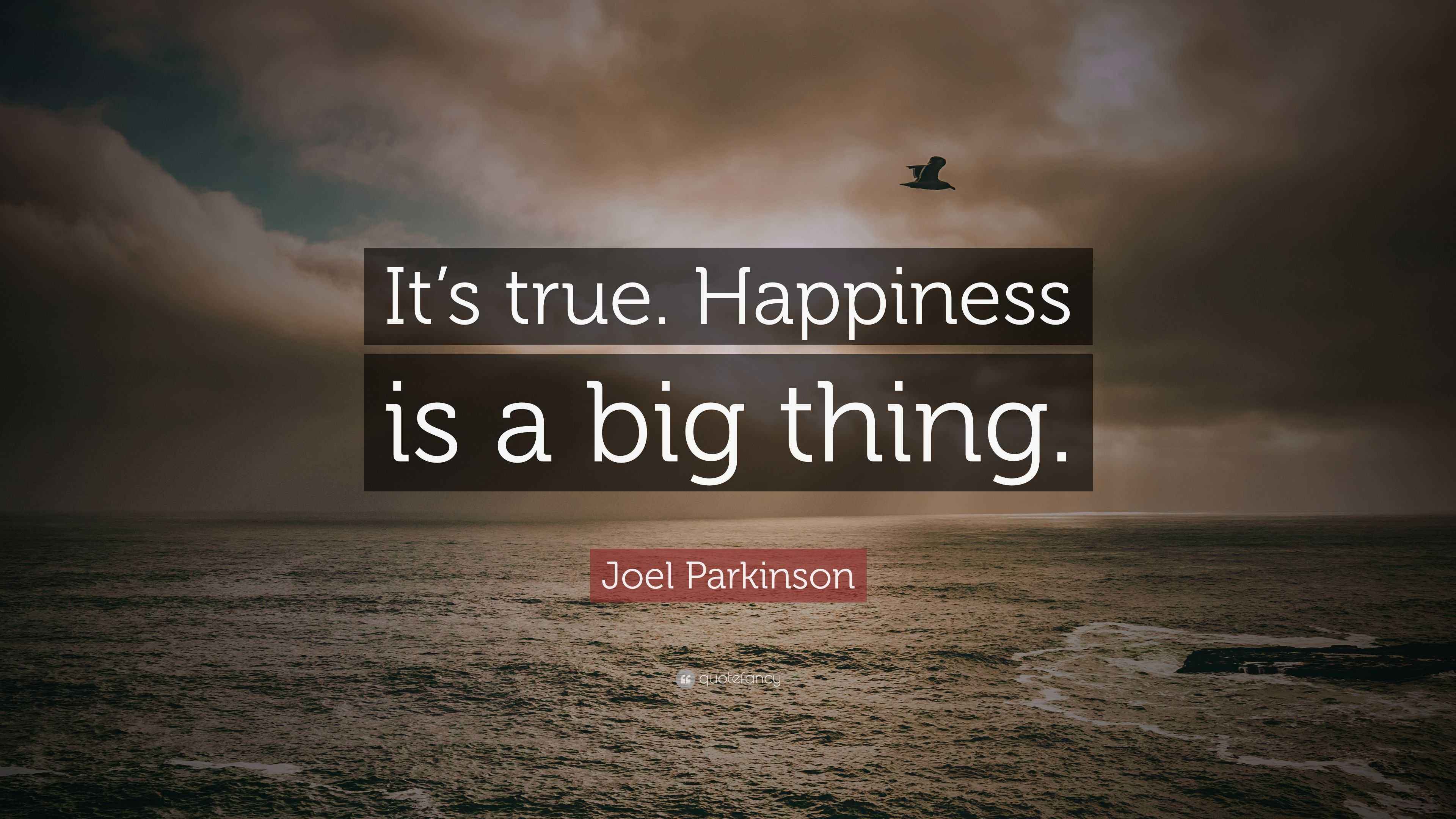 Joel Parkinson Quote: “It’s true. Happiness is a big thing.”