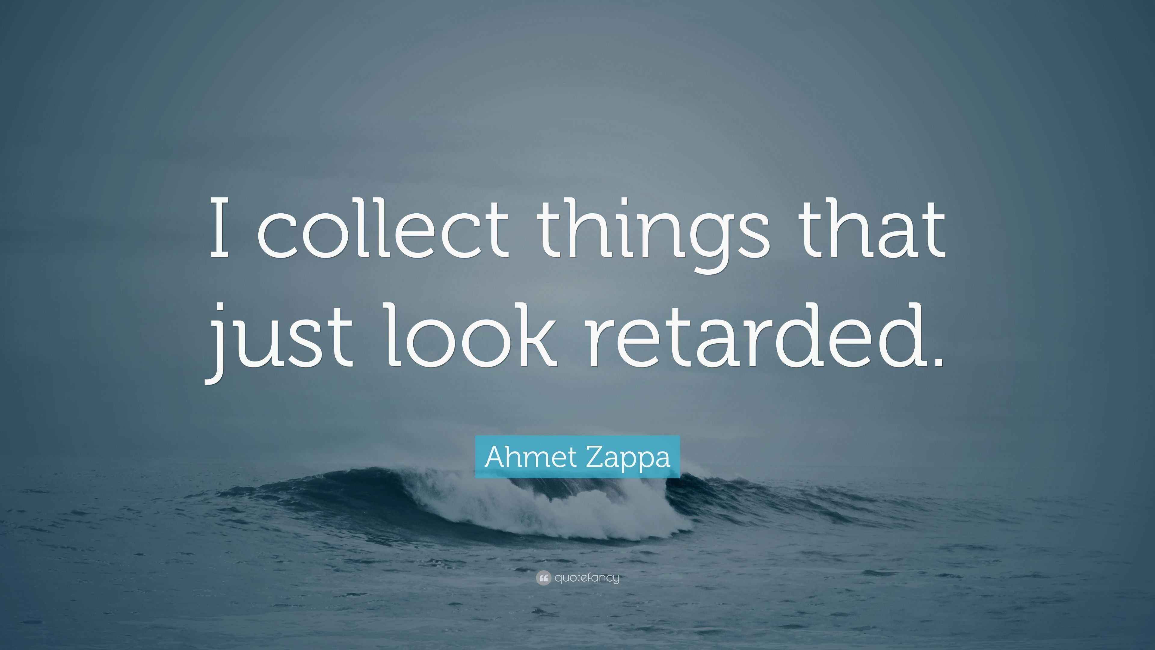 Ahmet Zappa Quote: “I collect things that just look retarded.”