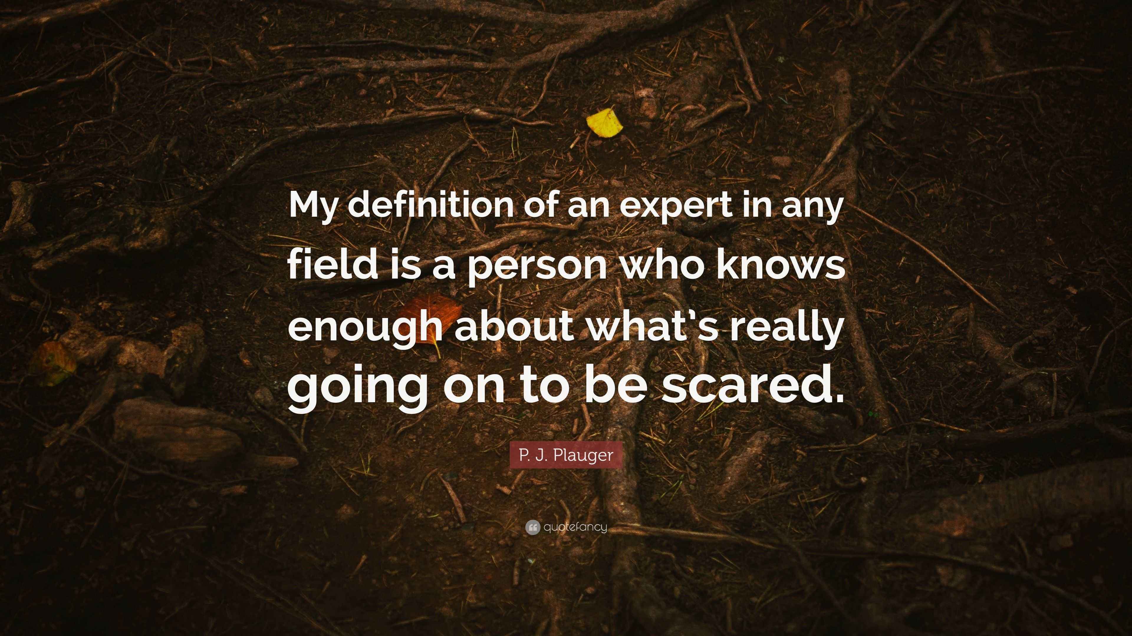 P. J. Plauger Quote: “My definition of an expert in any field is a ...