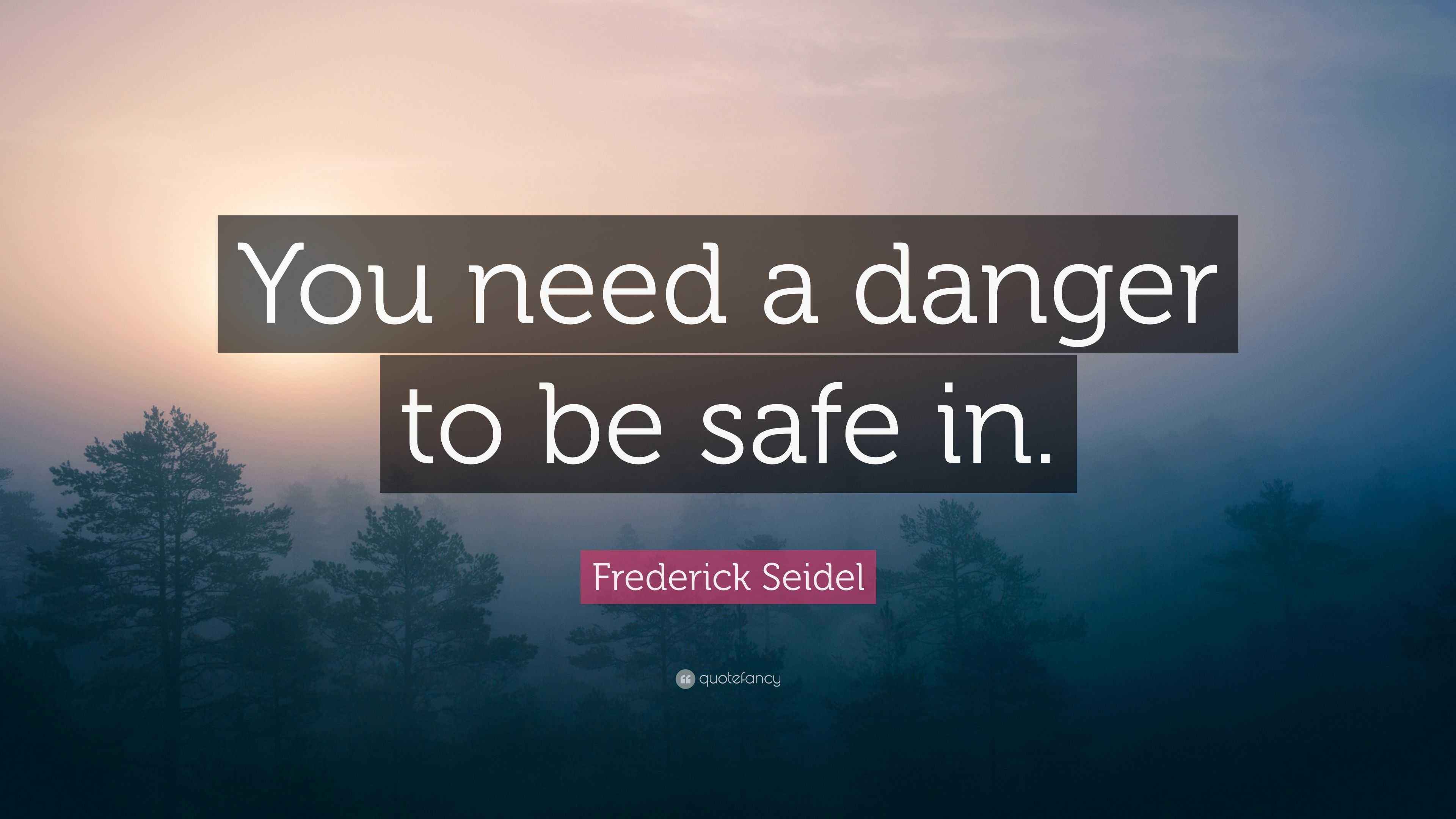 Frederick Seidel Quote: “You need a danger to be safe in.”