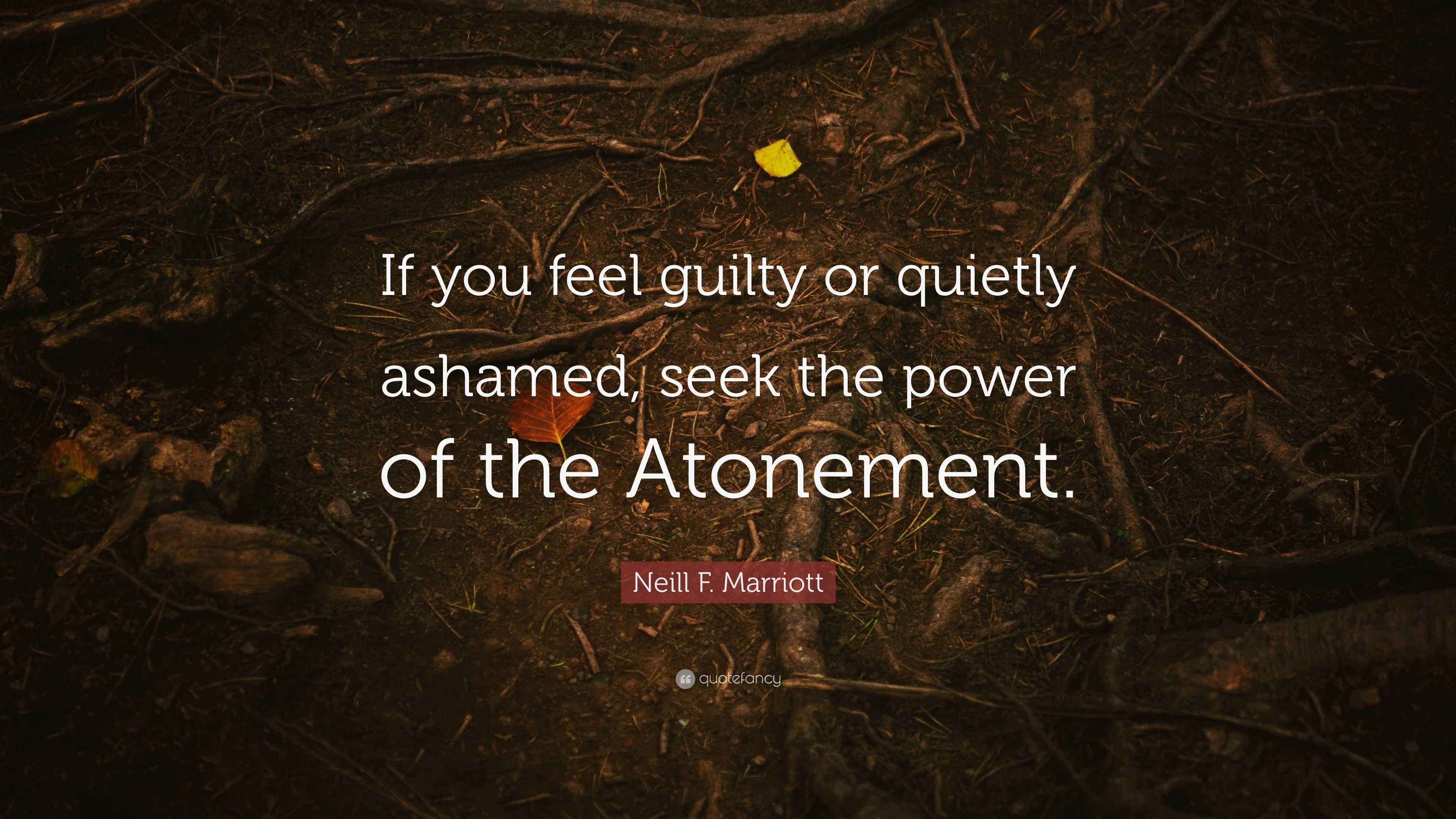 Neill F. Marriott Quote: “If you feel guilty or quietly ashamed, seek ...