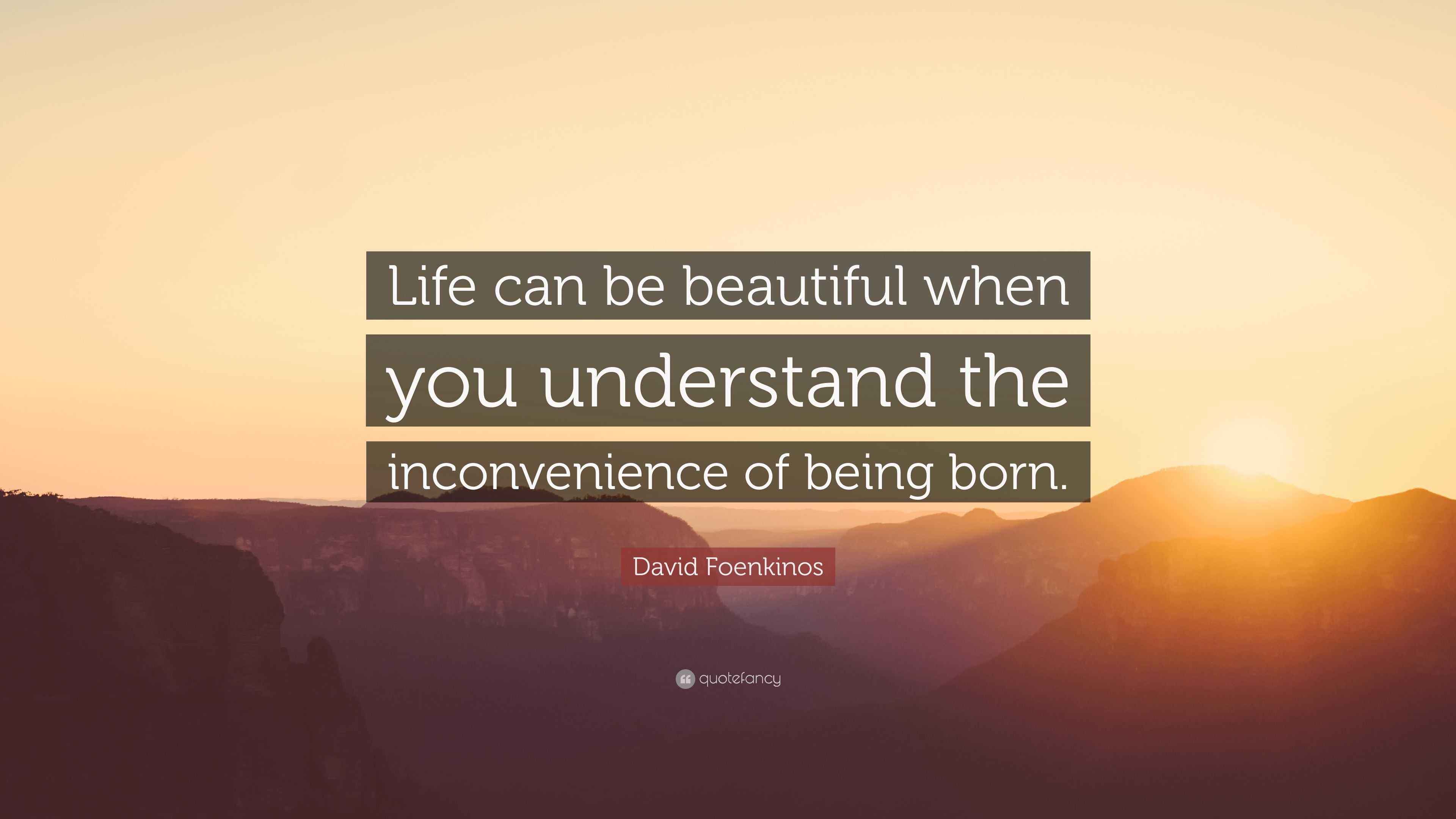 David Foenkinos Quote: “Life can be beautiful when you understand the ...
