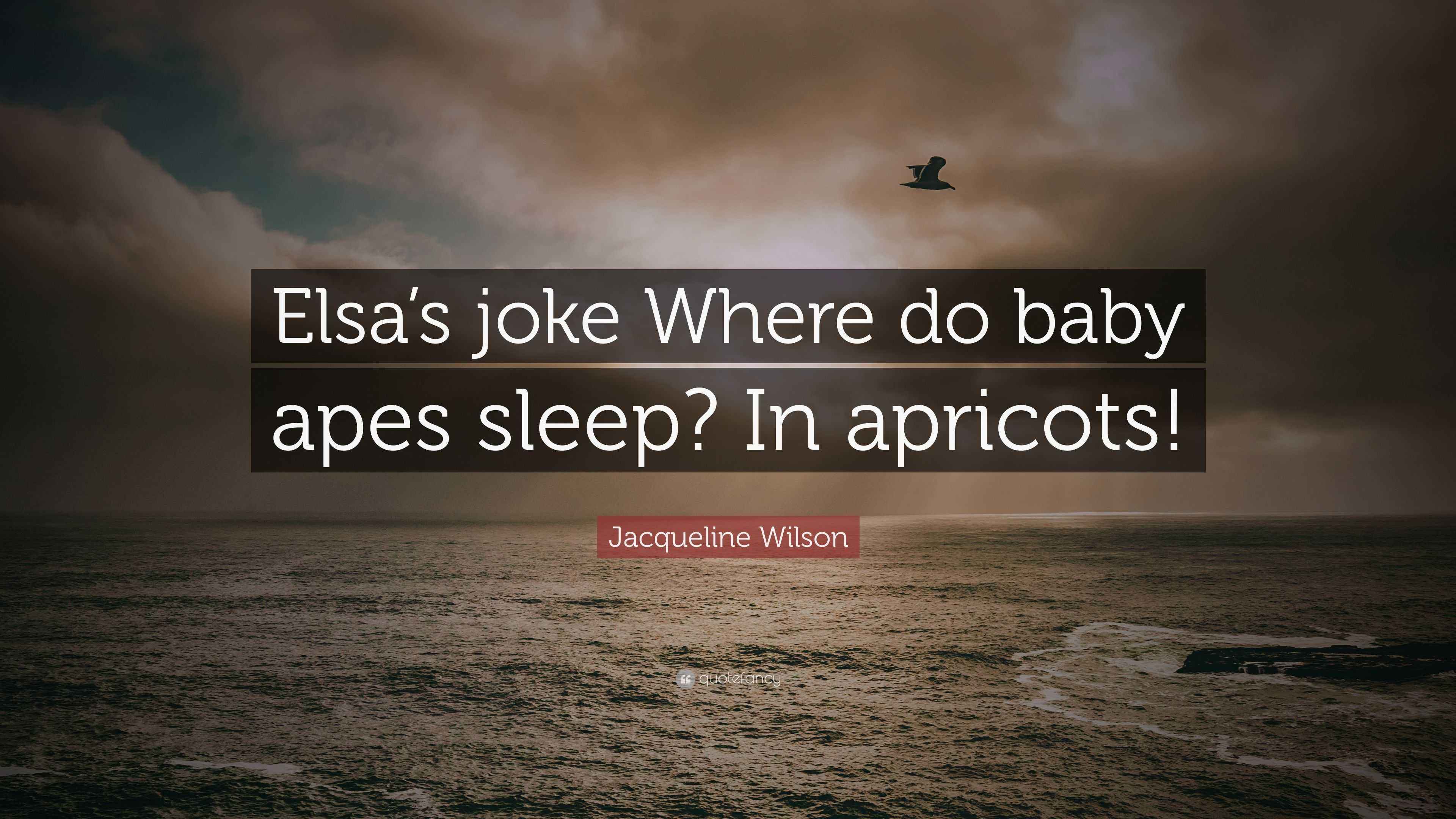 Jacqueline Wilson Quote: “Elsa’s joke Where do baby apes sleep? In ...