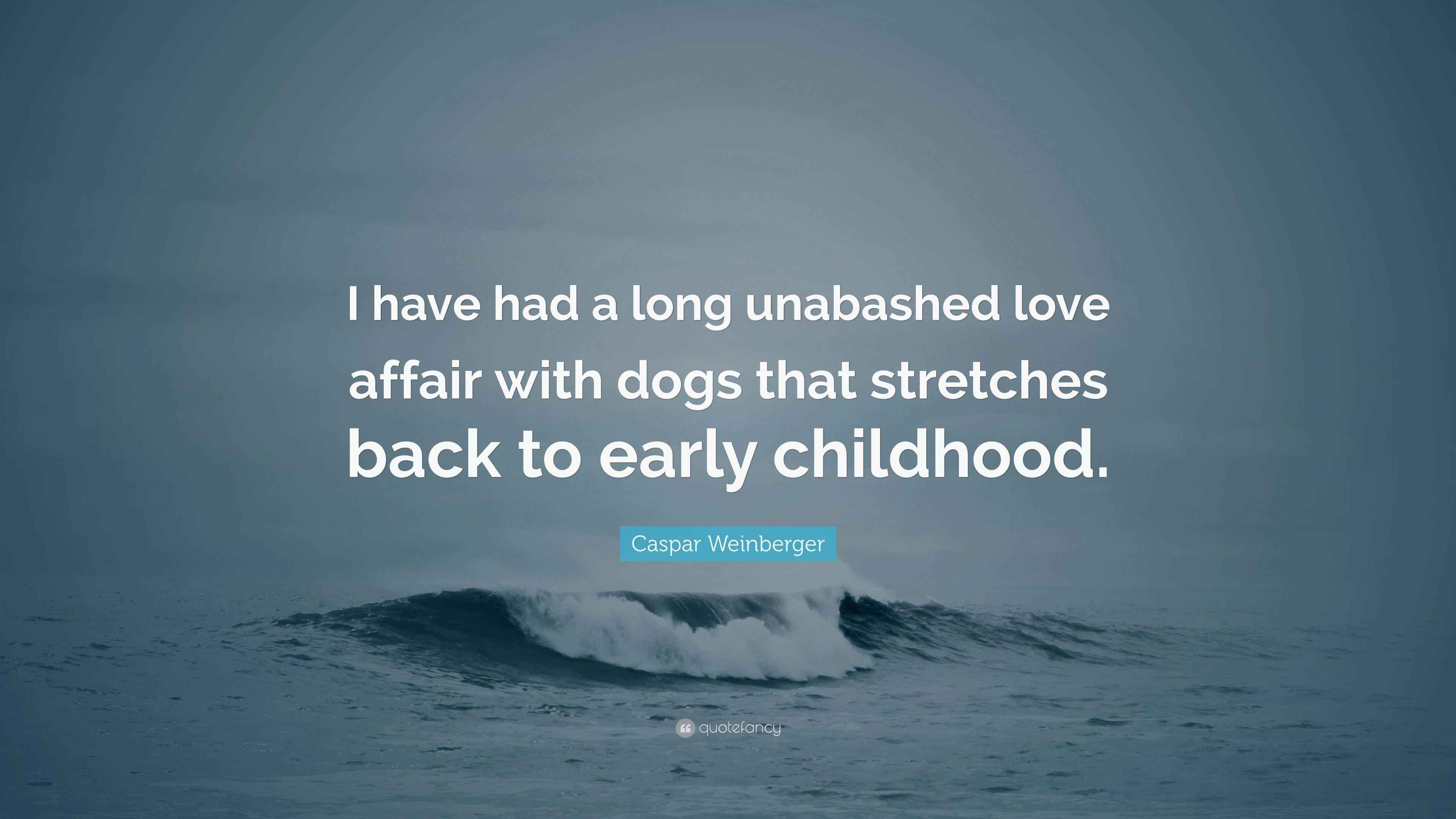 Caspar Weinberger Quote: “I have had a long unabashed love affair with ...