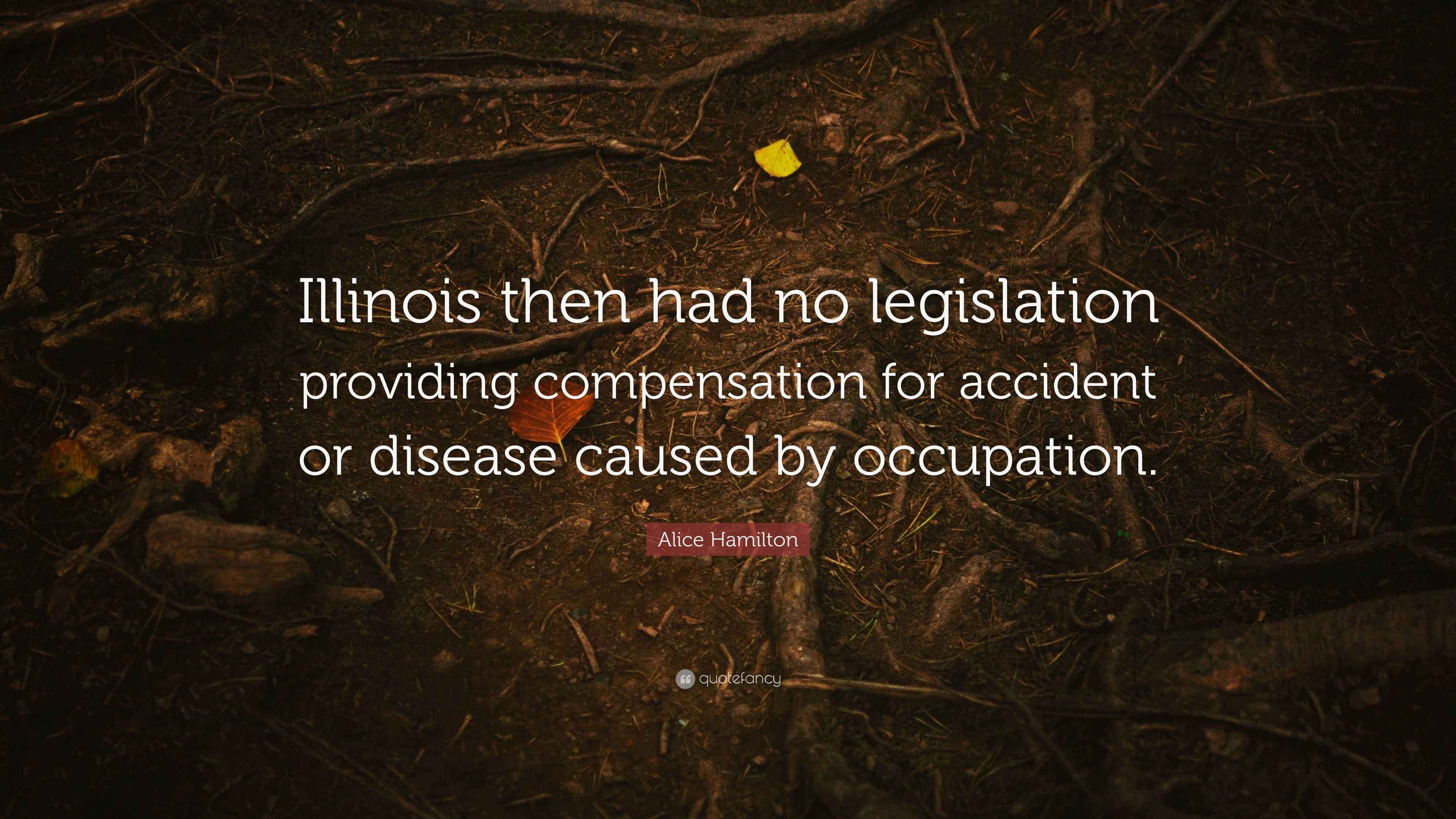 Alice Hamilton Quote: “Illinois then had no legislation providing ...