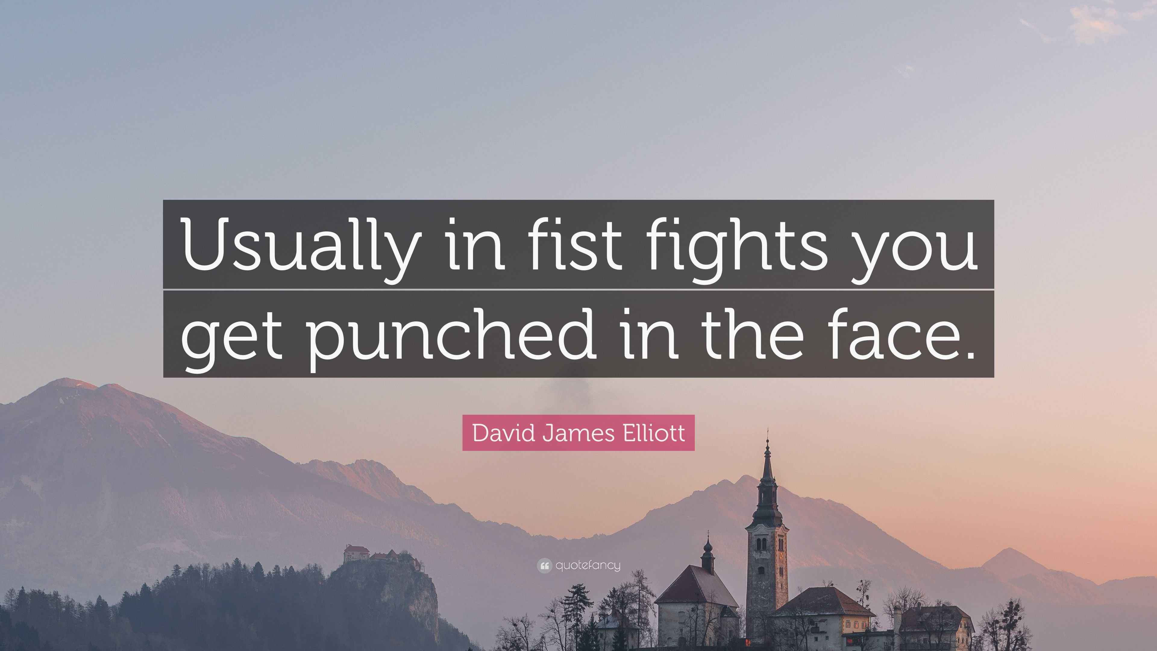 David James Elliott Quote: “Usually in fist fights you get punched in ...