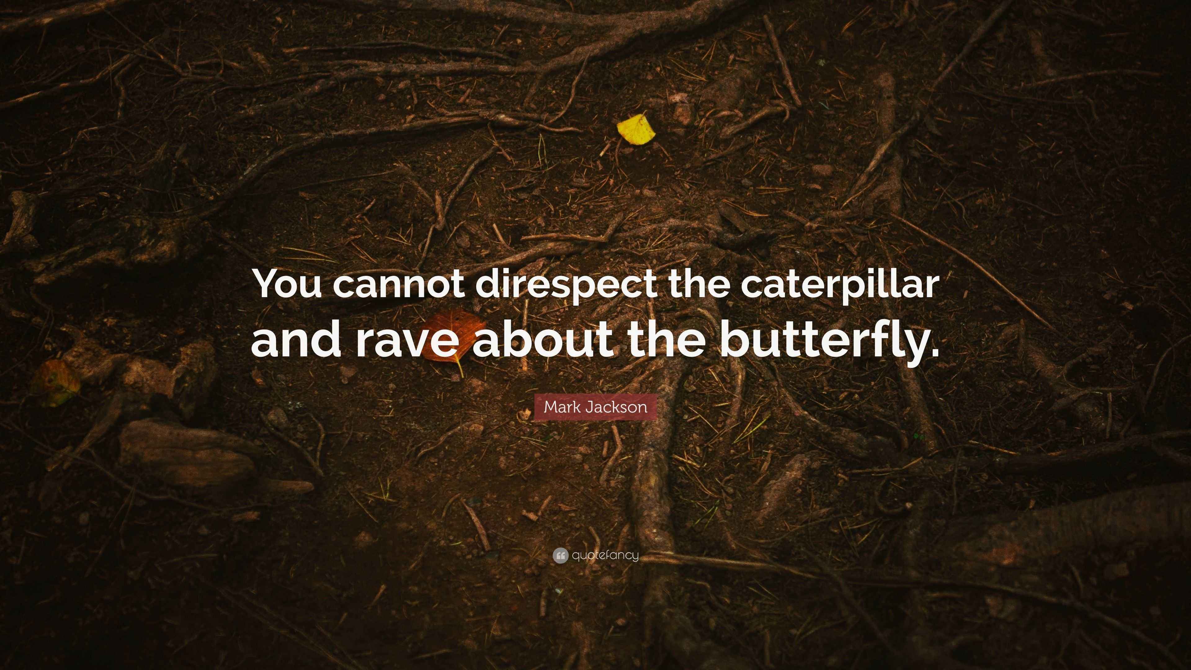 Mark Jackson Quote: “You cannot direspect the caterpillar and rave ...