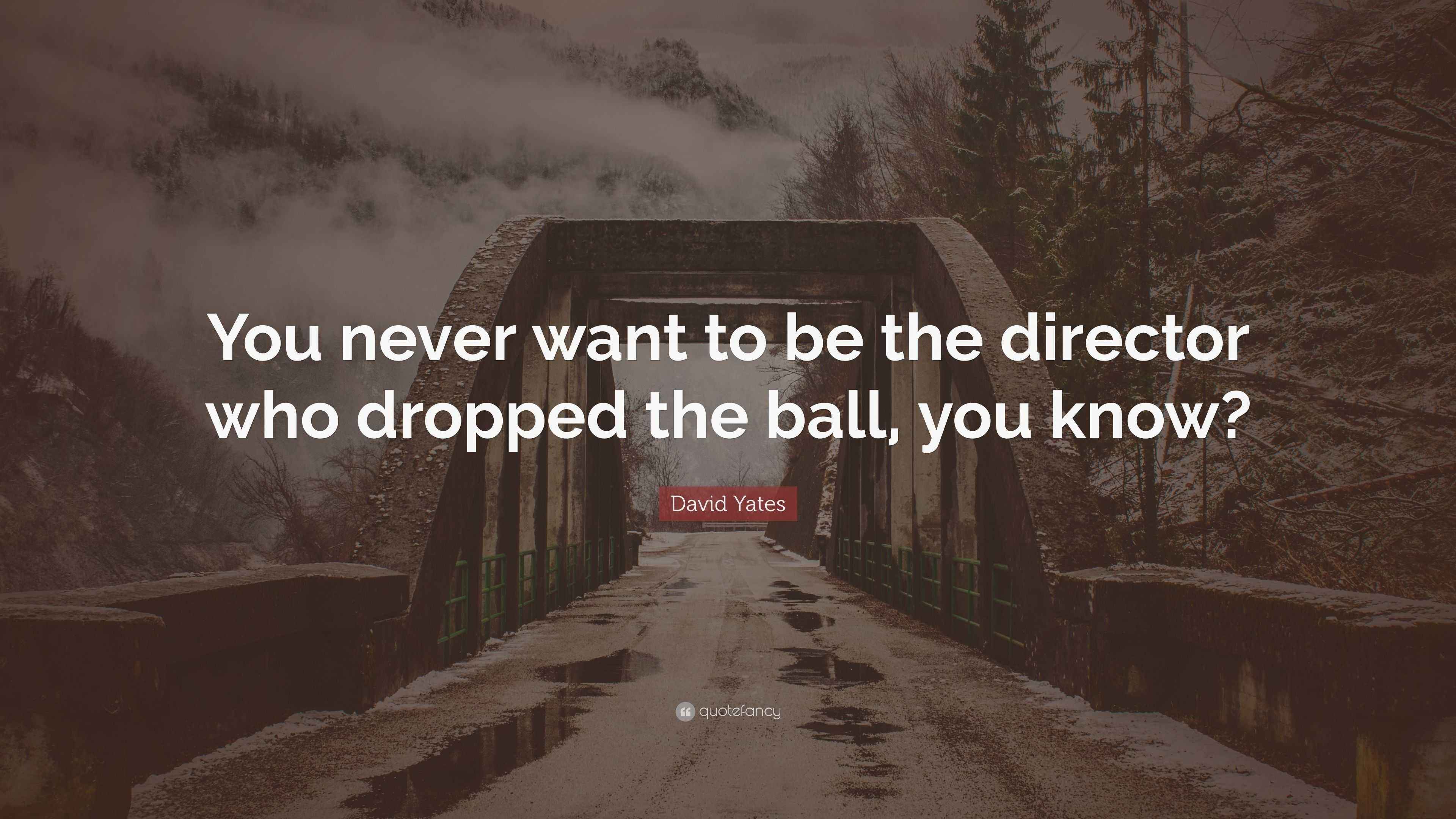 David Yates Quote: “You never want to be the director who dropped the ...