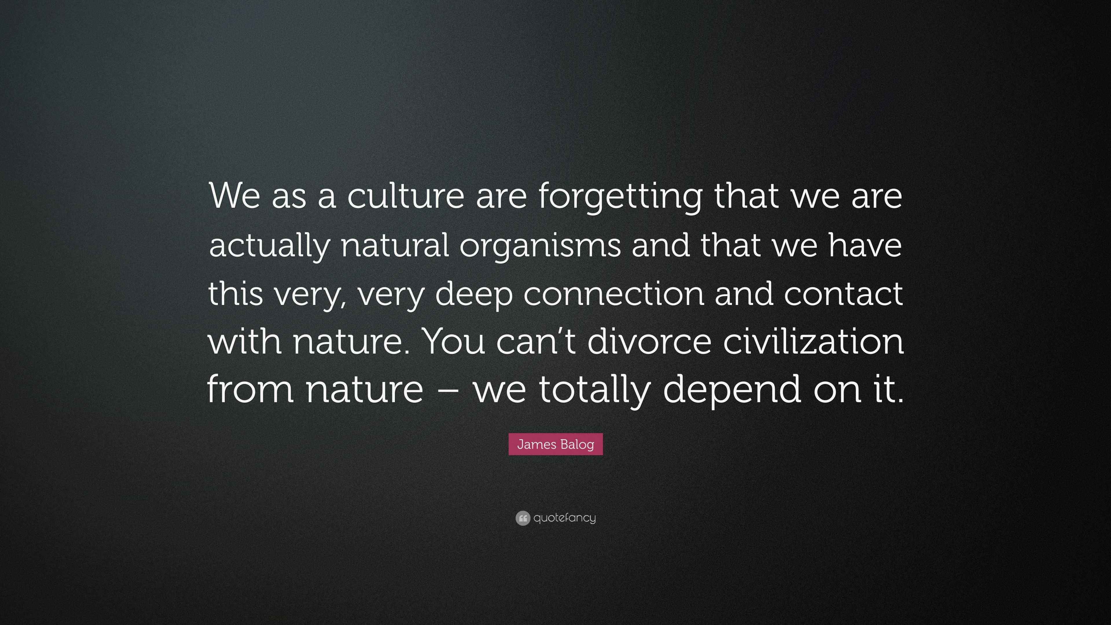 James Balog Quote: “We as a culture are forgetting that we are actually ...