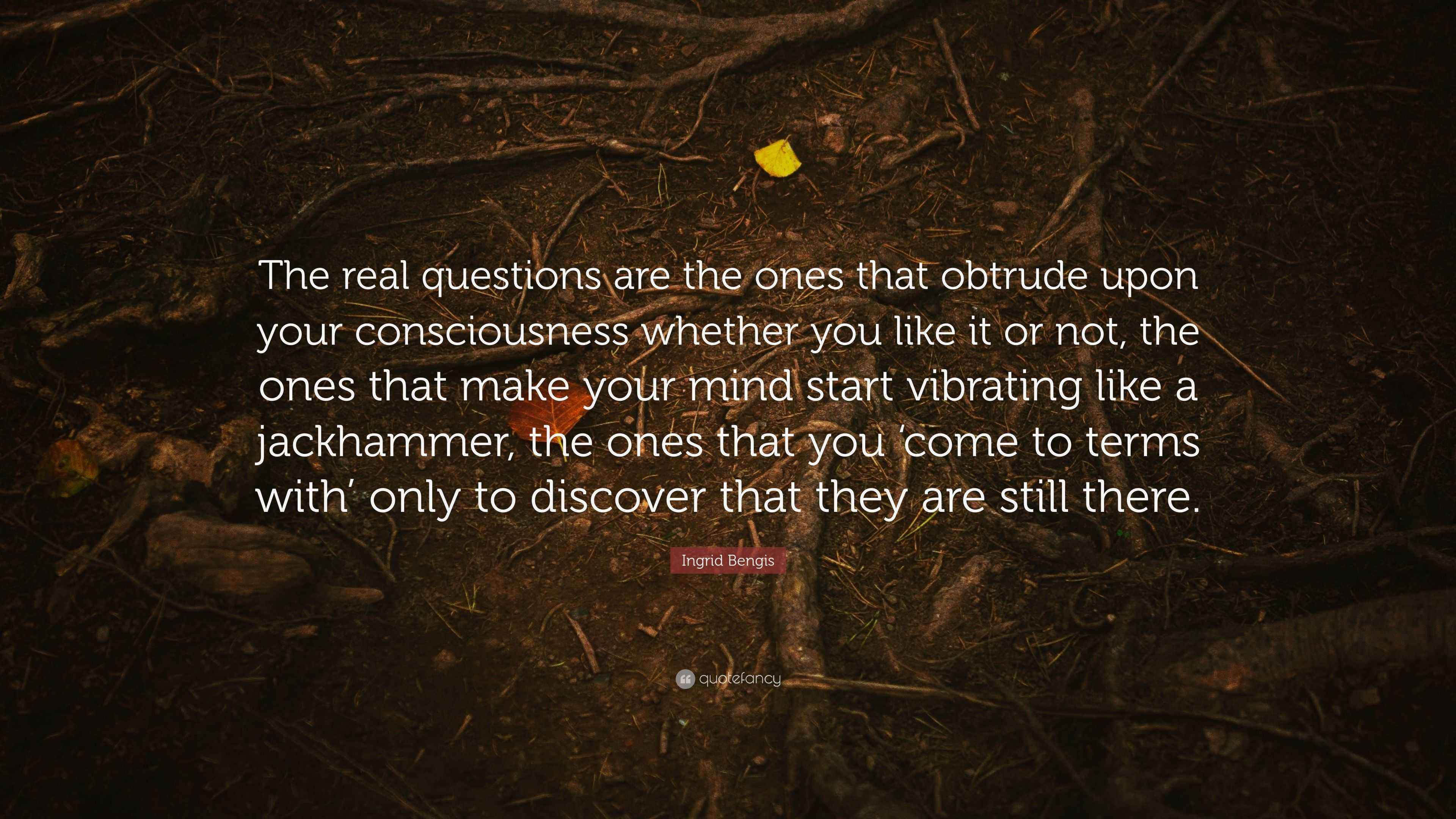 Ingrid Bengis Quote: “The real questions are the ones that obtrude upon ...