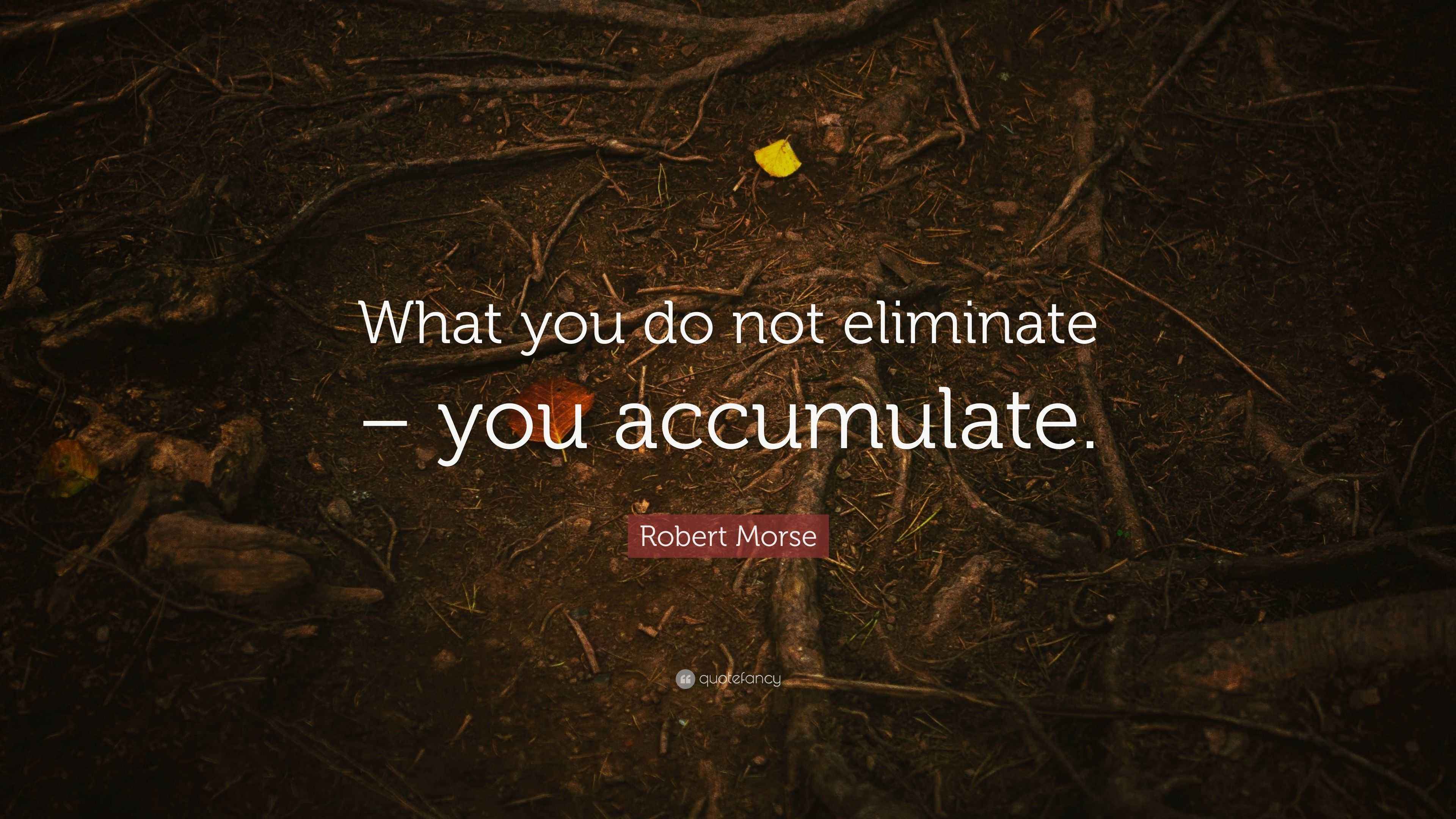 Robert Morse Quote: “What you do not eliminate – you accumulate.”