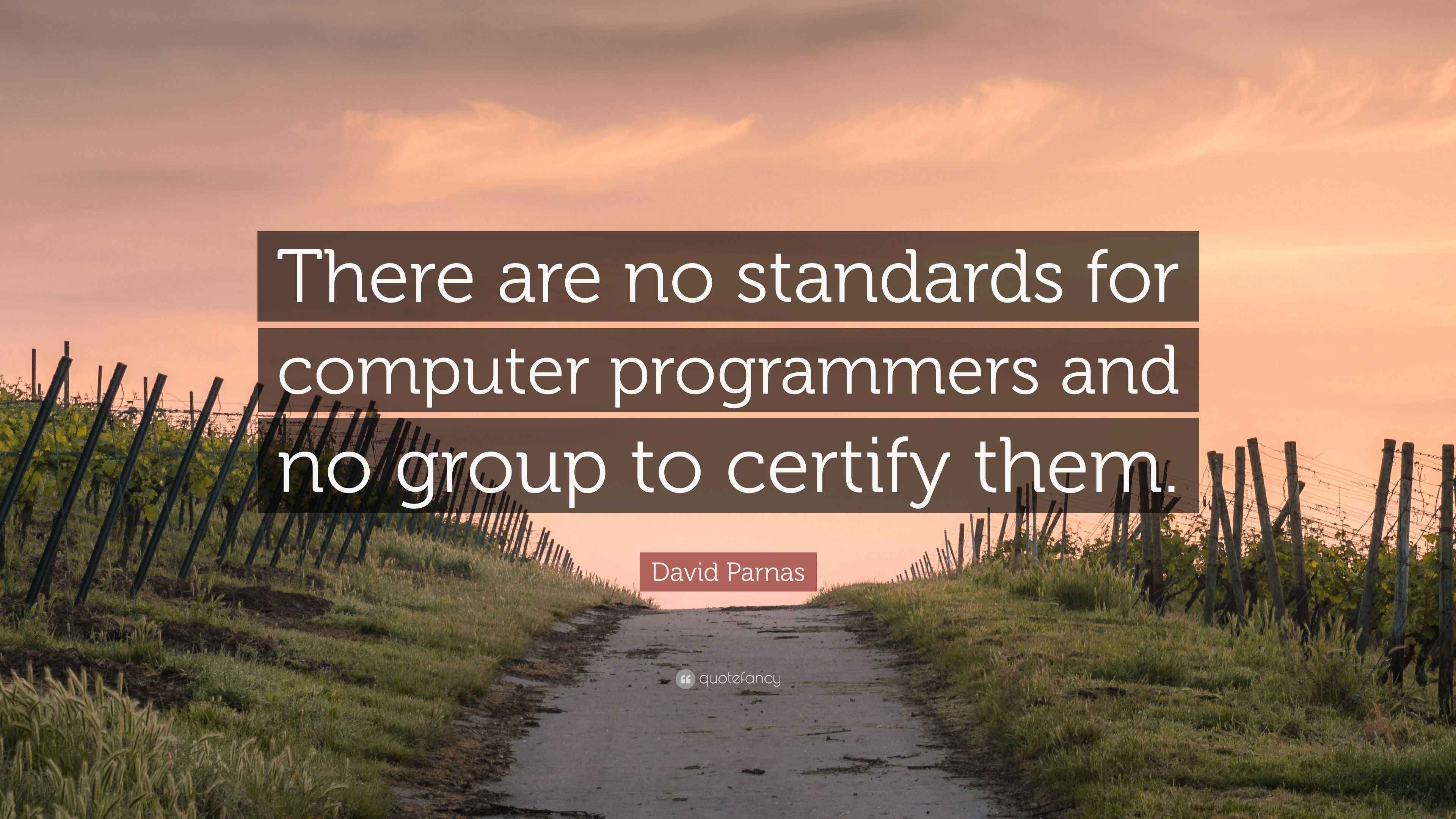 David Parnas Quote: “There are no standards for computer programmers ...