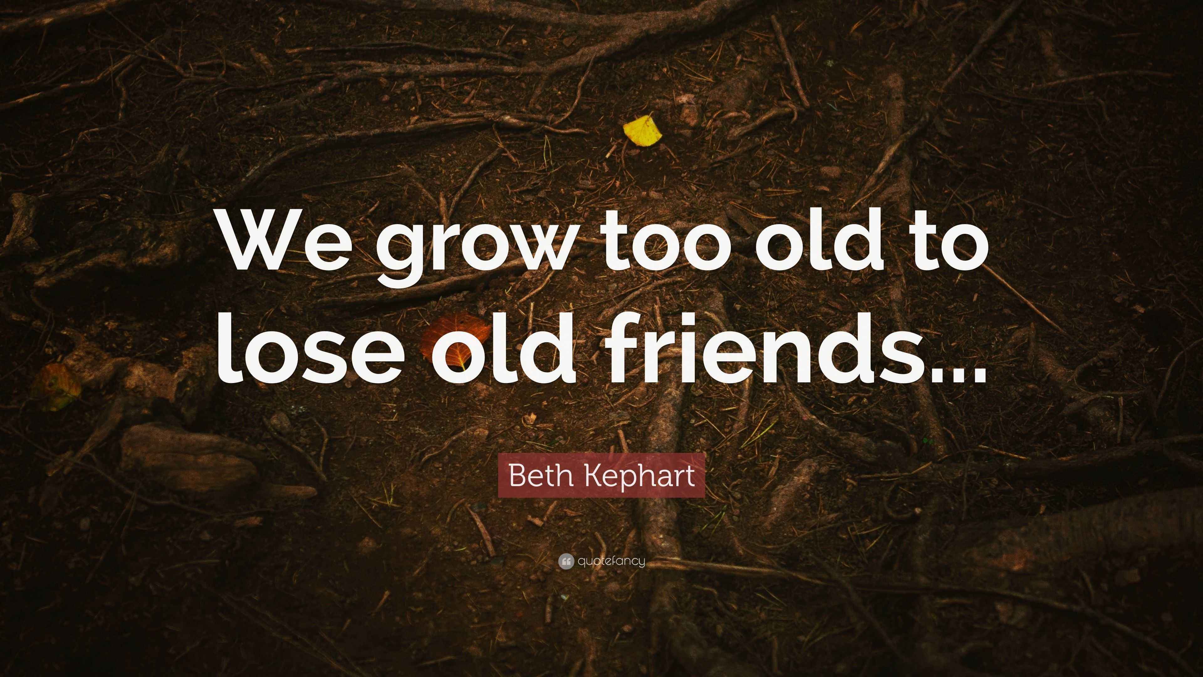 Beth Kephart Quote: “We grow too old to lose old friends...”