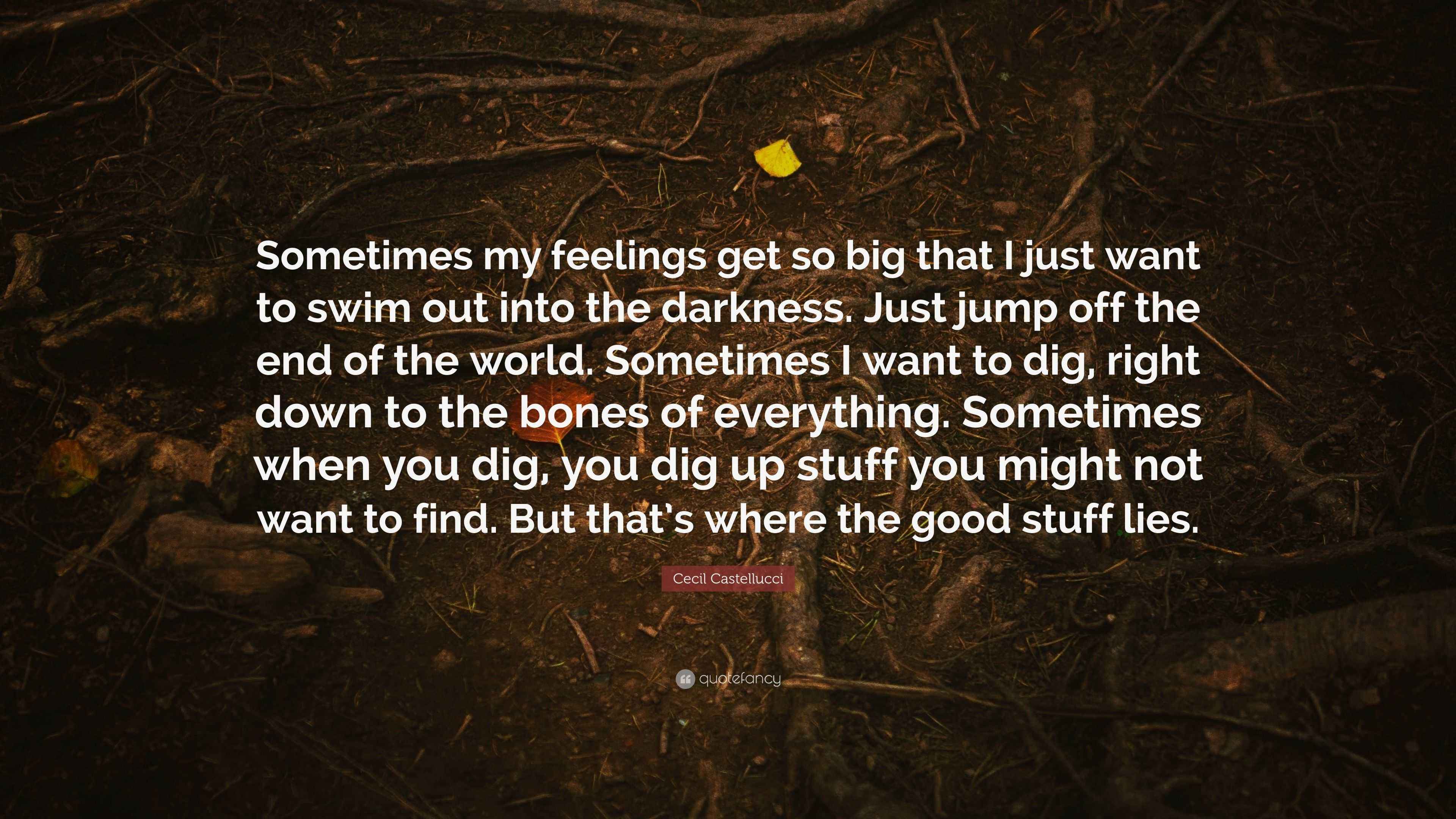 Cecil Castellucci Quote: “Sometimes my feelings get so big that I just ...