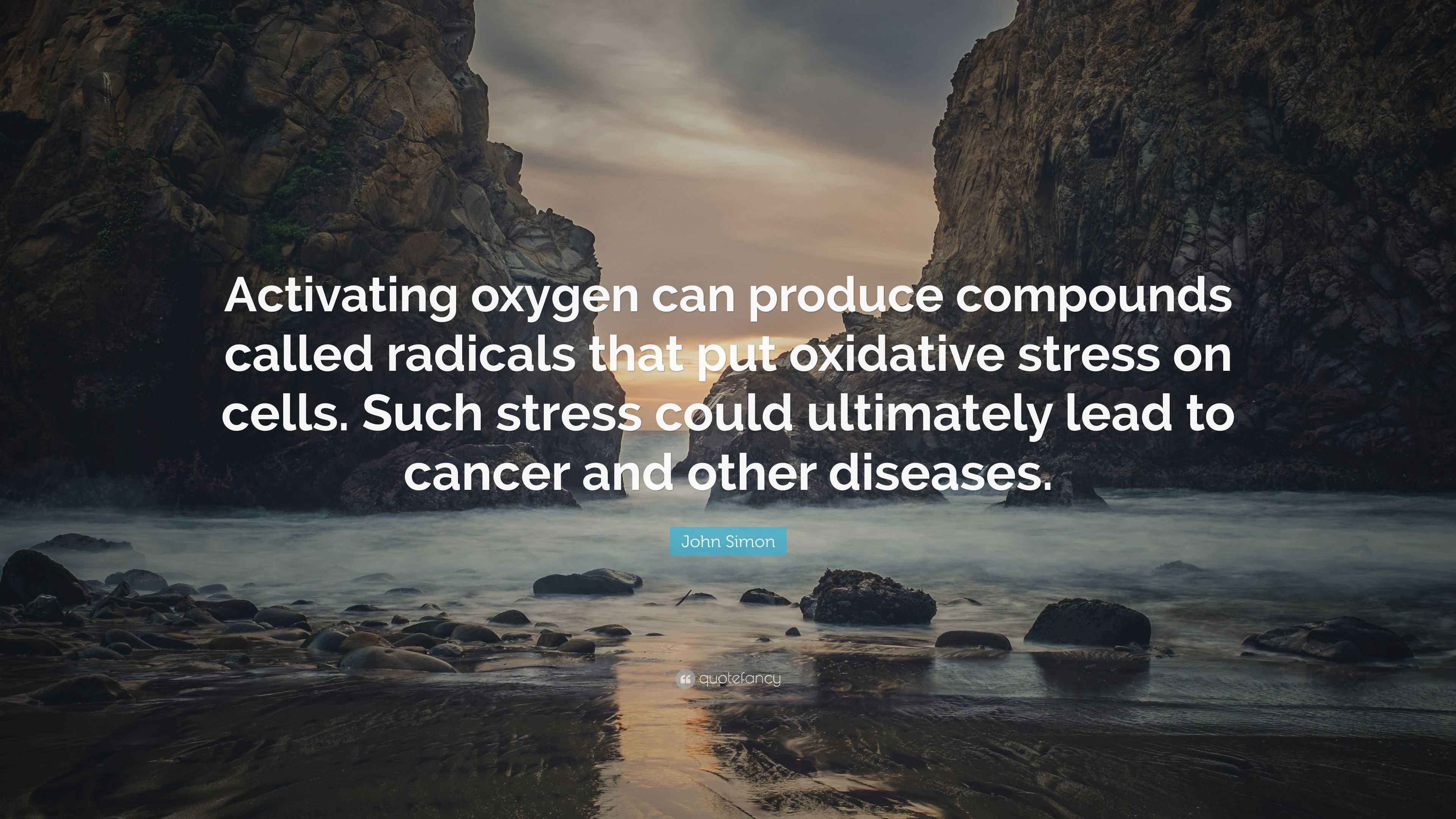 John Simon Quote: “Activating oxygen can produce compounds called ...