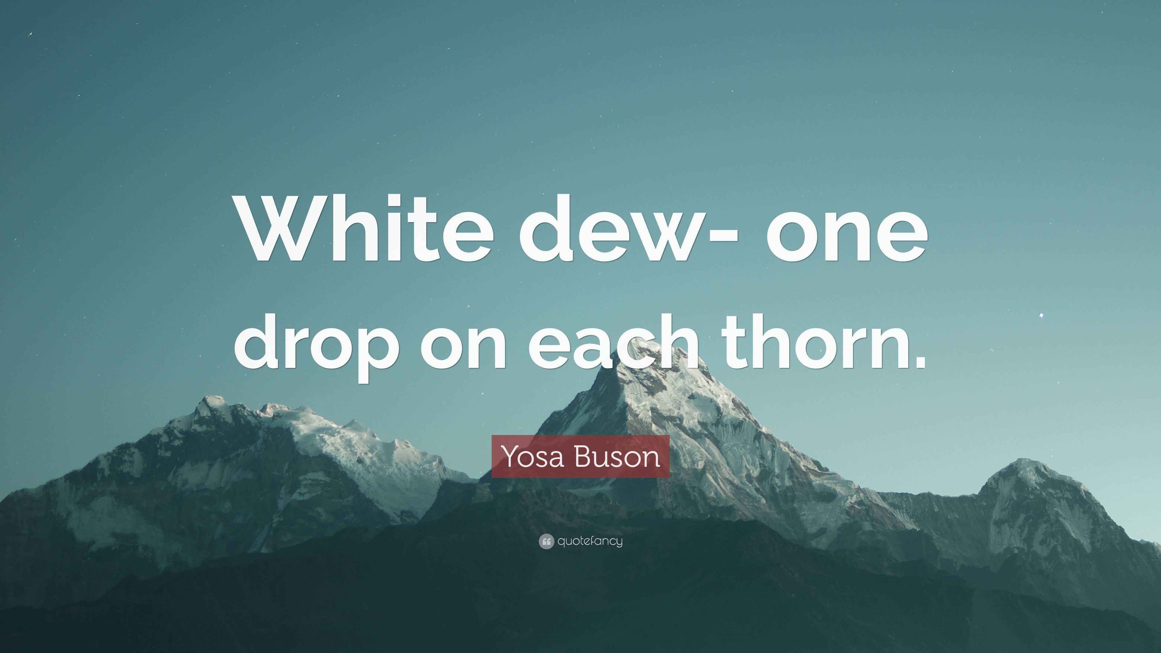 Yosa Buson Quote: “White dew- one drop on each thorn.”