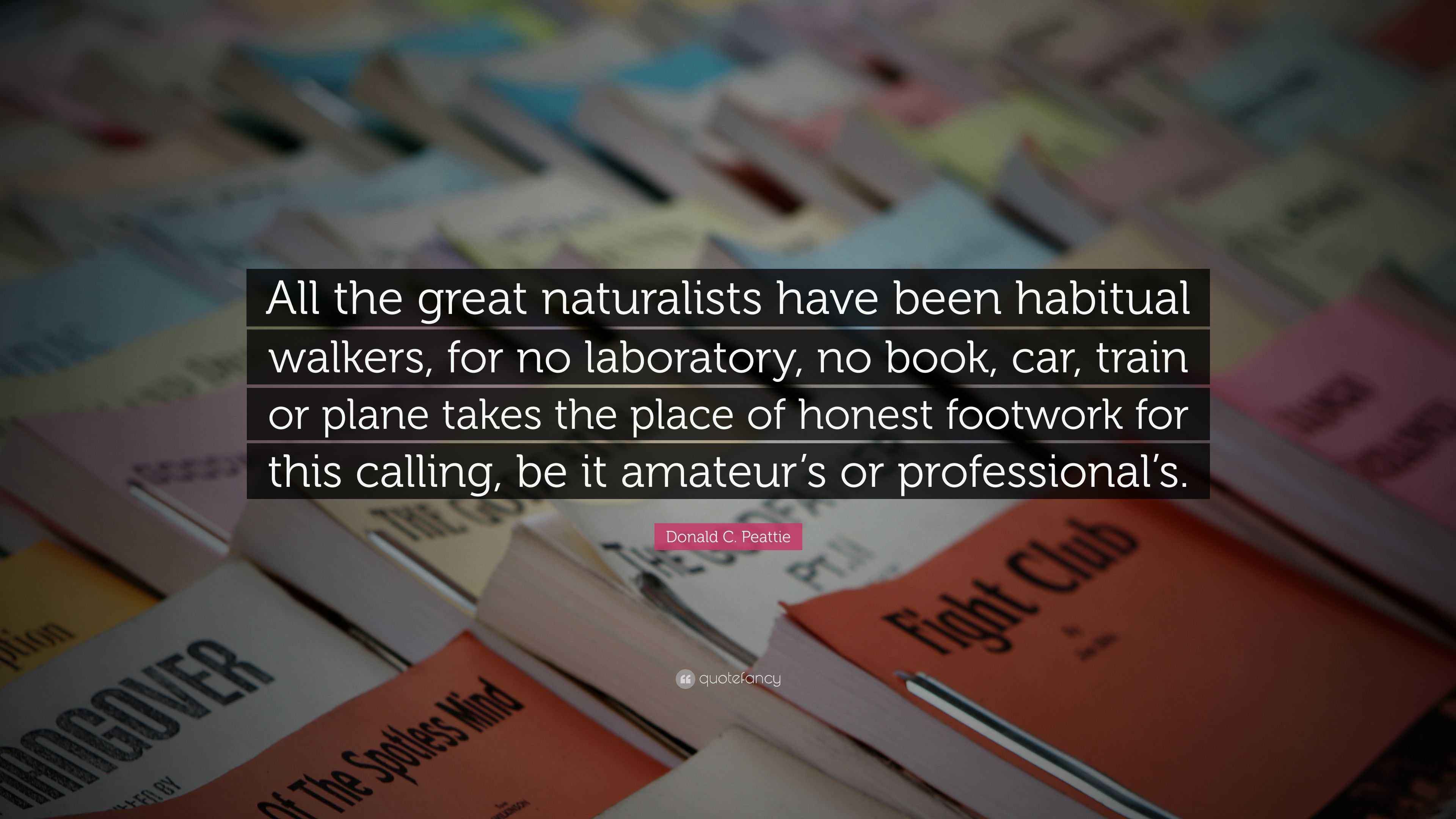 Donald C. Peattie Quote: “All the great naturalists have been habitual ...