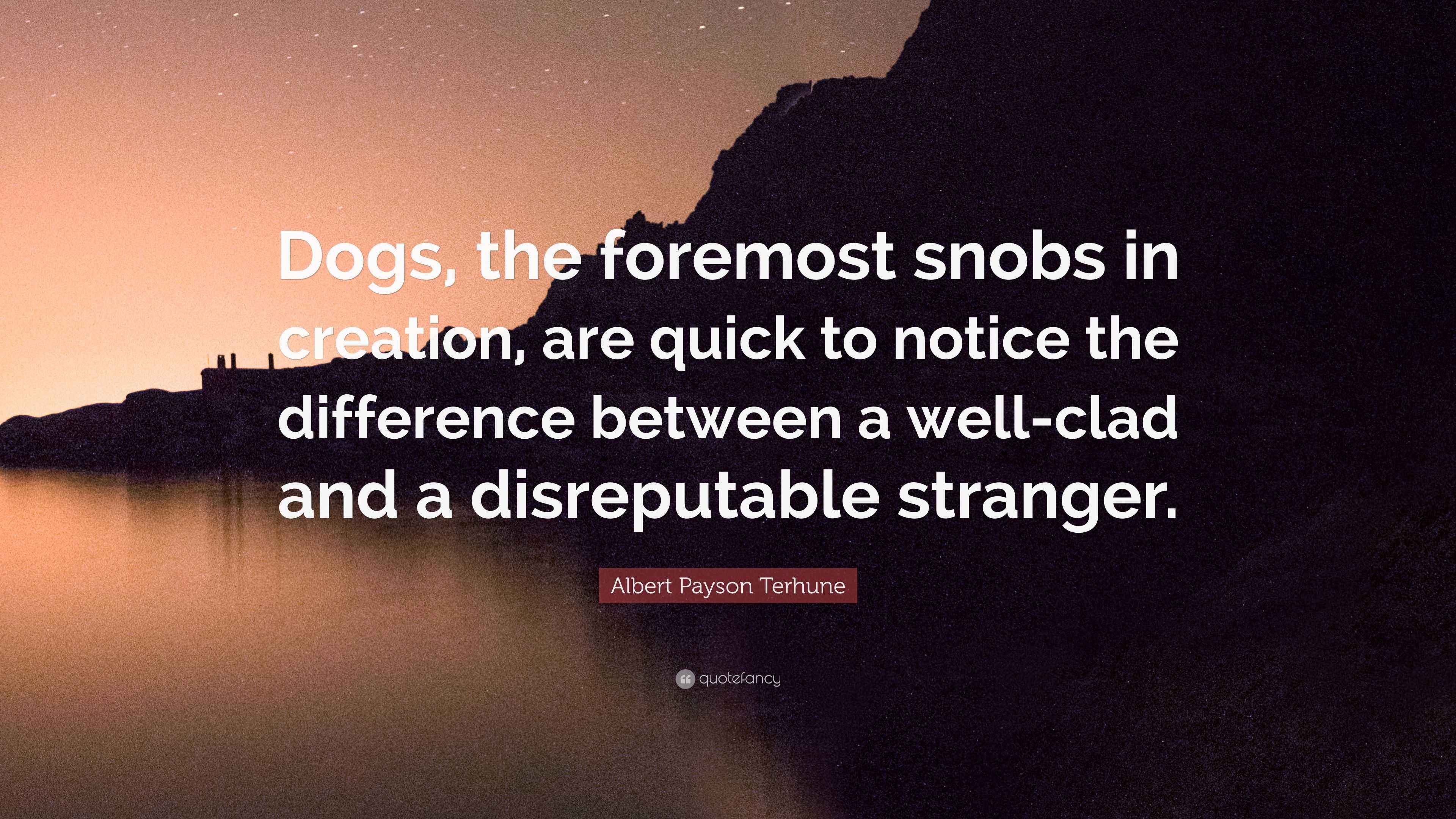 Albert Payson Terhune Quote: “Dogs, the foremost snobs in creation, are ...