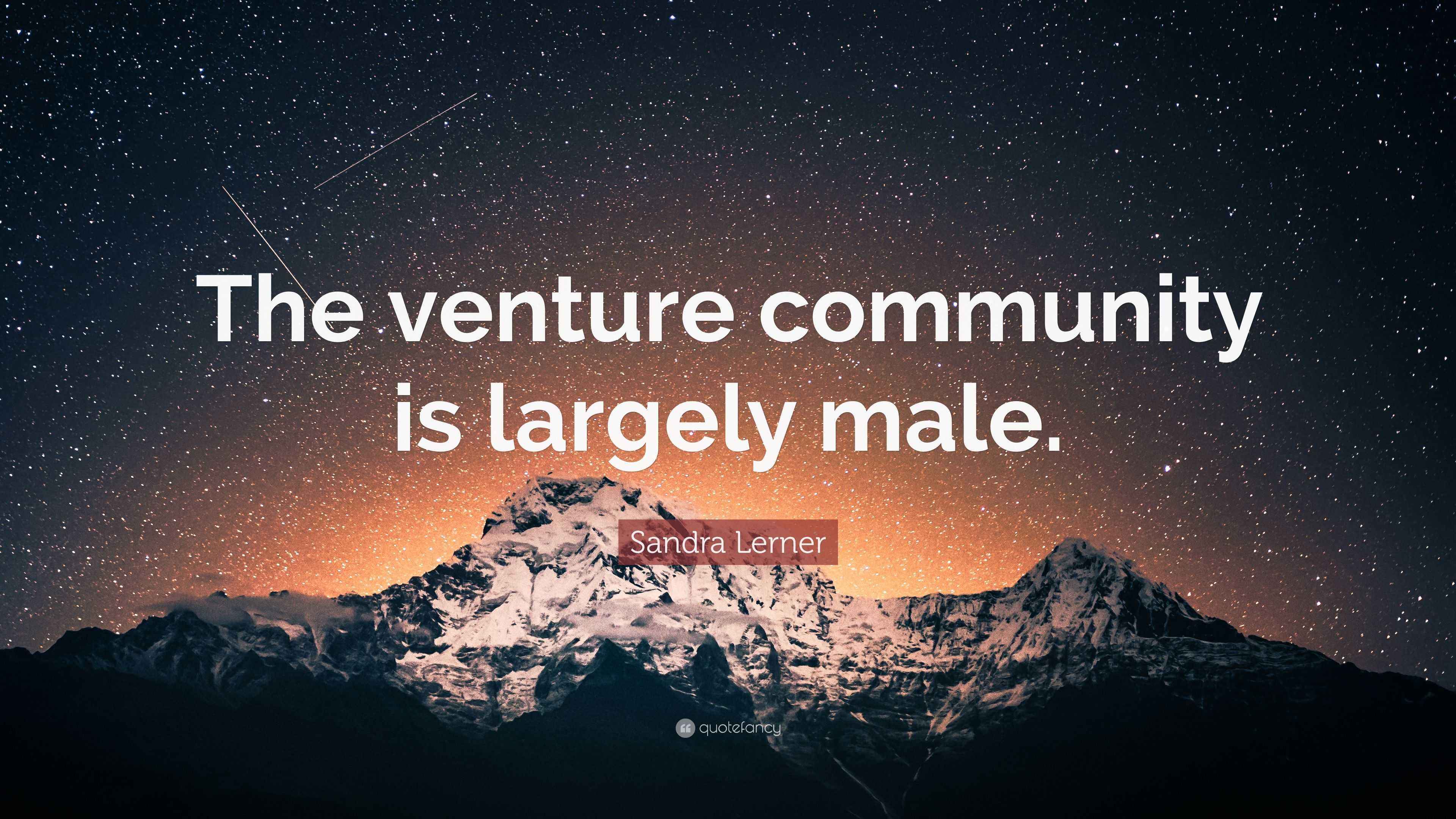 Sandra Lerner Quote: “The venture community is largely male.”