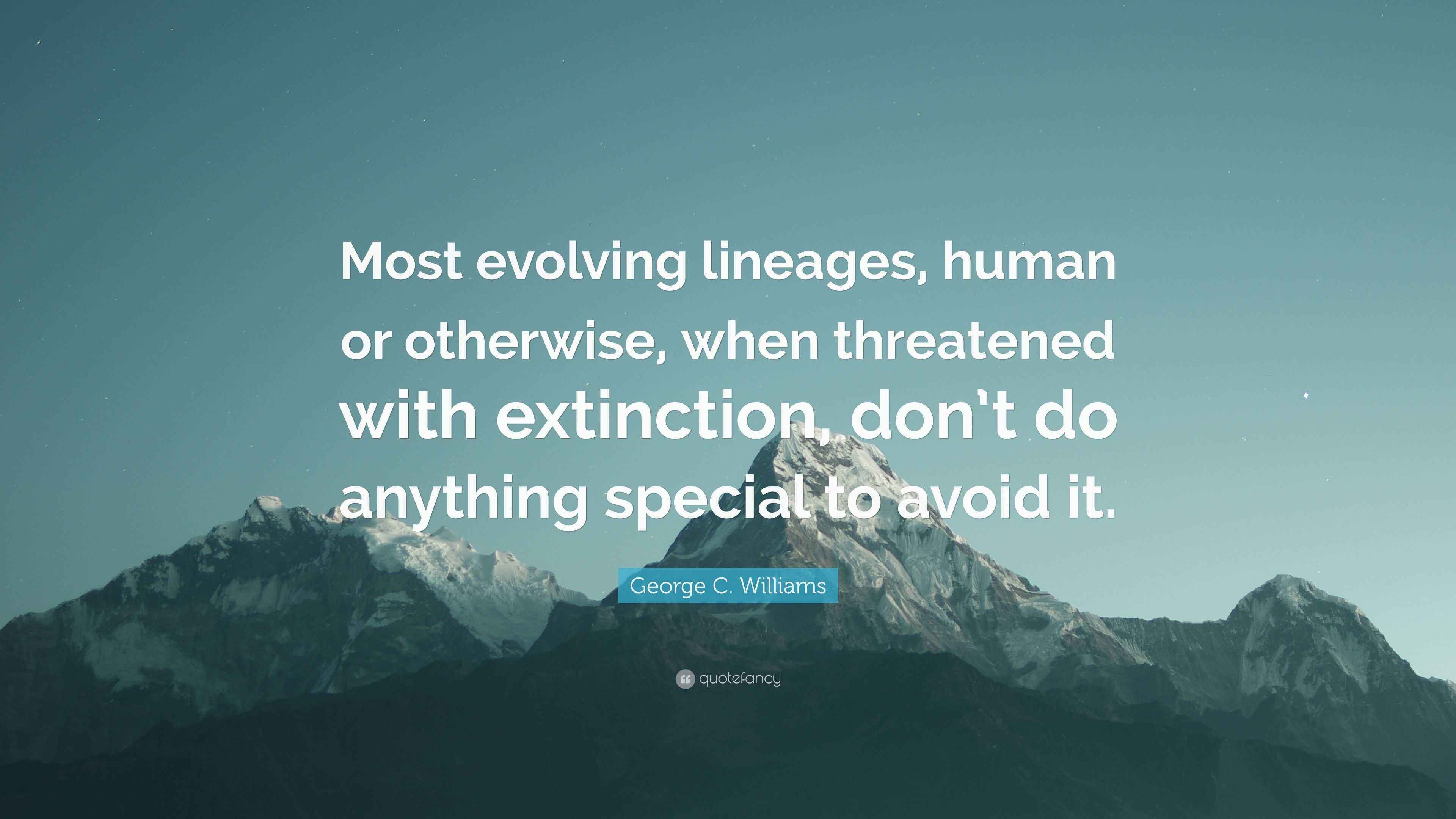 George C. Williams Quote: “Most evolving lineages, human or otherwise ...