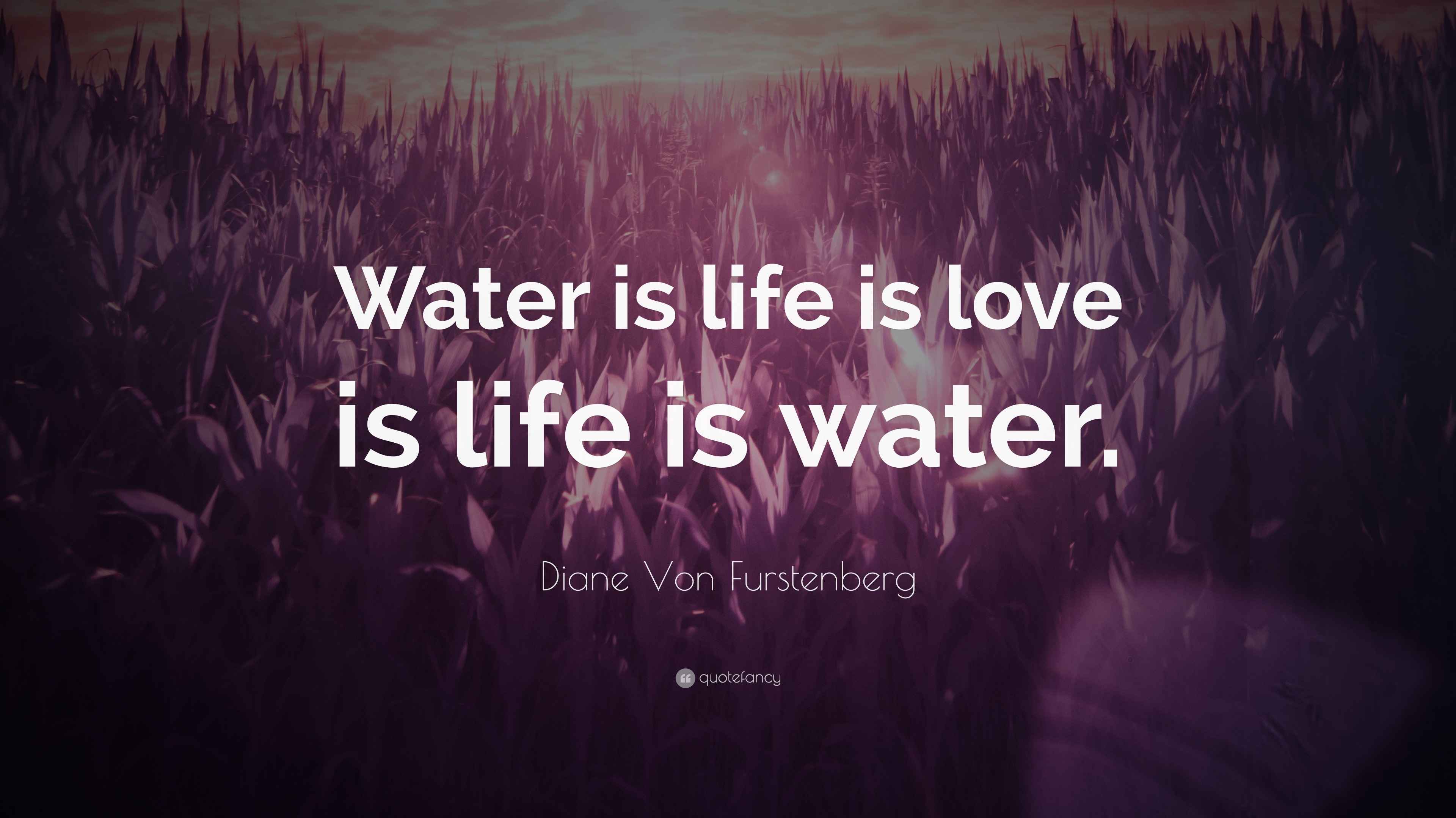 Diane Von Furstenberg Quote: “Water is life is love is life is water.”