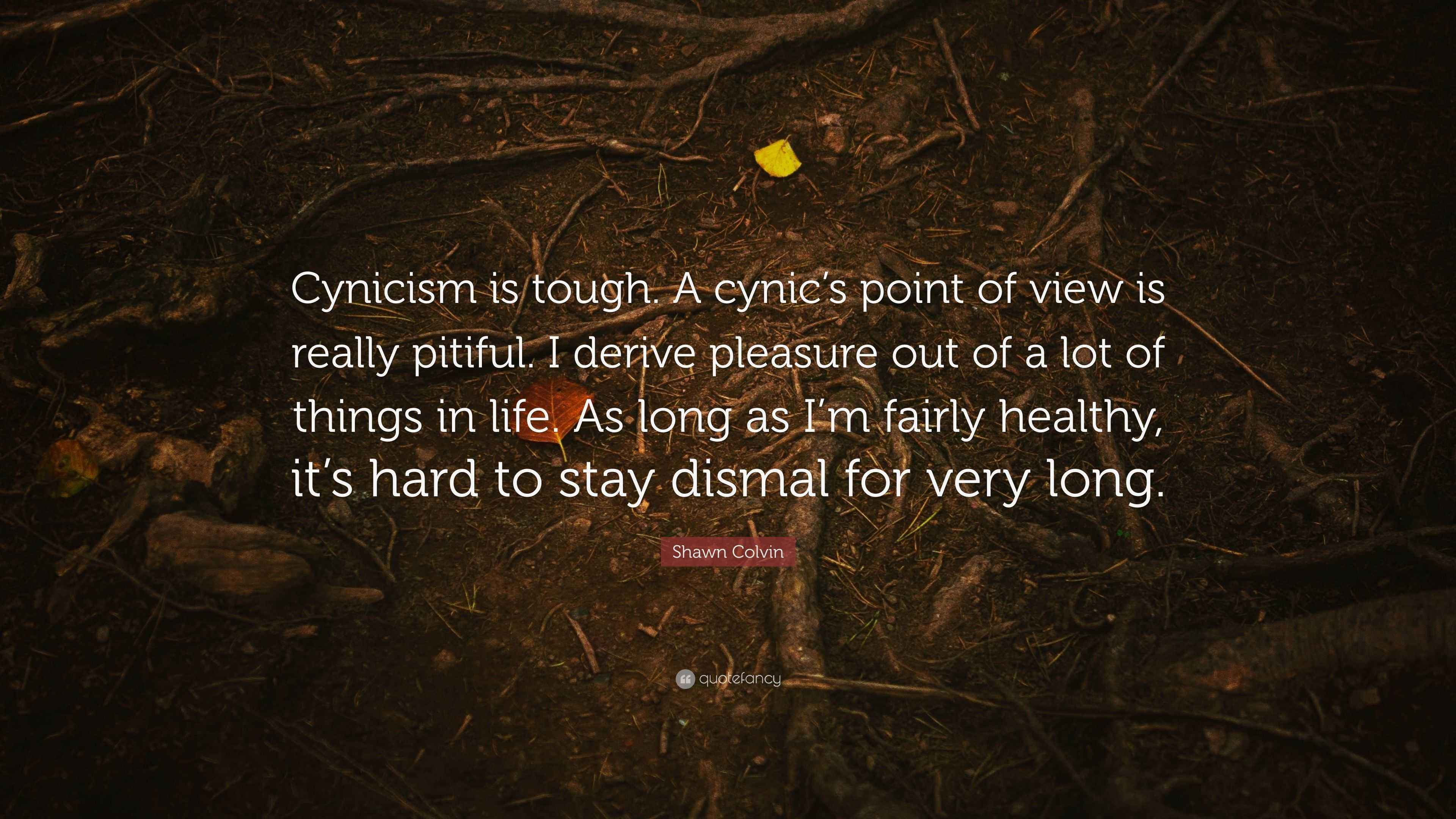 Shawn Colvin Quote: “Cynicism is tough. A cynic’s point of view is ...