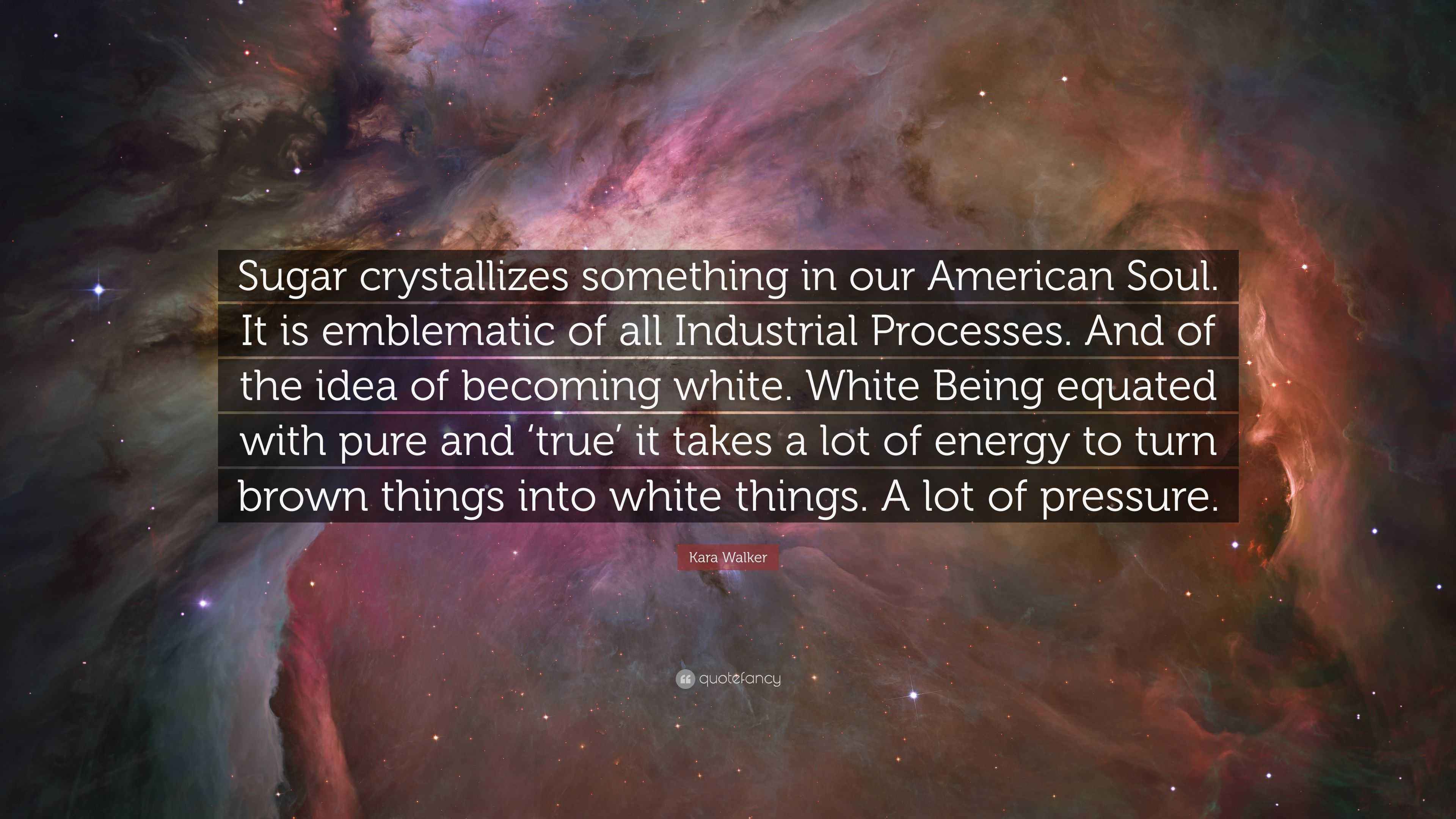 Kara Walker Quote: “Sugar crystallizes something in our American Soul ...