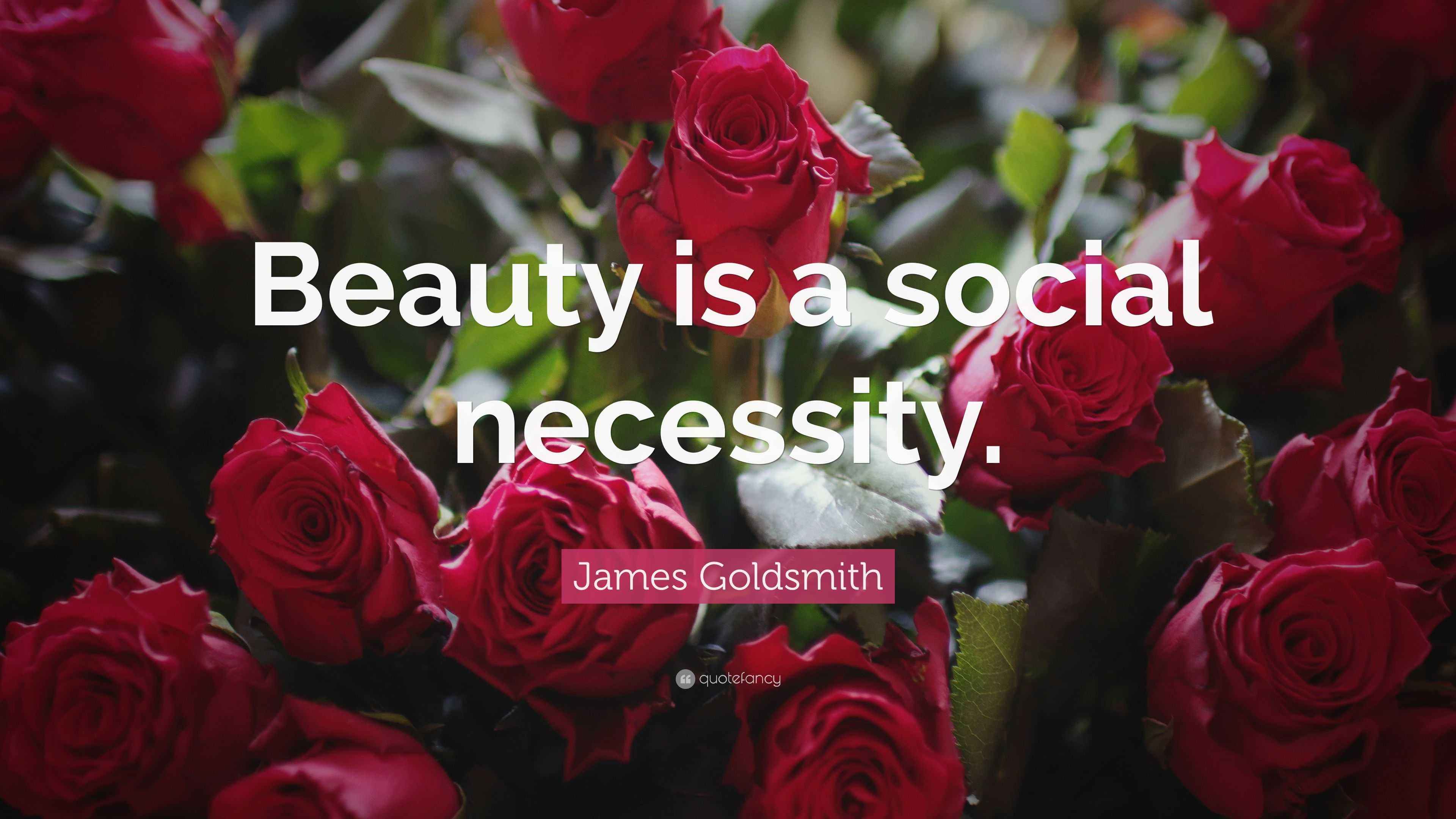 James Goldsmith Quote: “Beauty is a social necessity.”