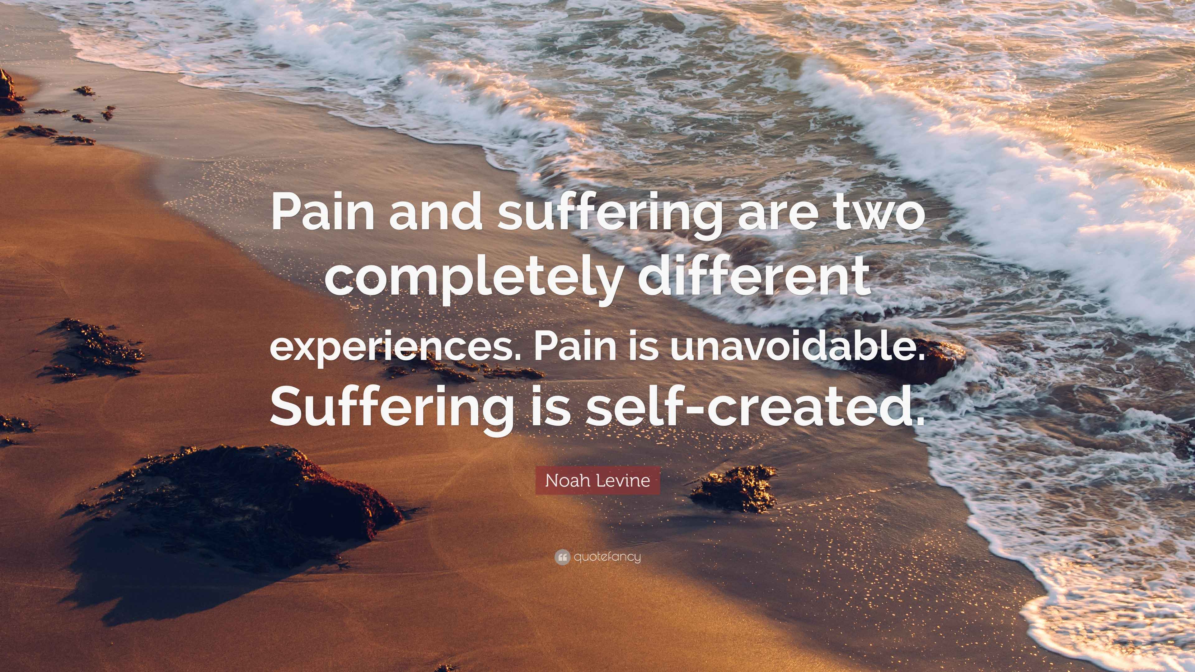 Noah Levine Quote: “Pain and suffering are two completely different ...