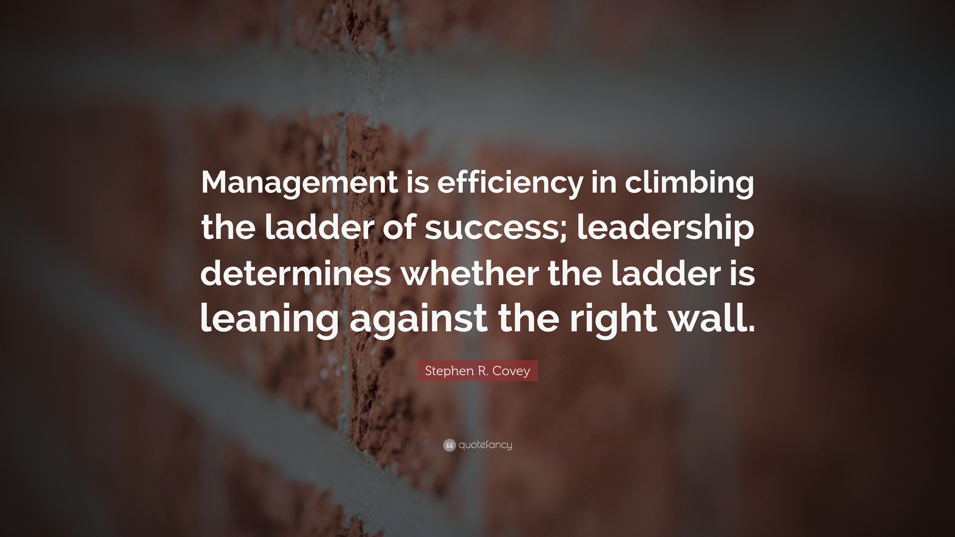 Stephen R. Covey Quote: “Management is efficiency in climbing the ...