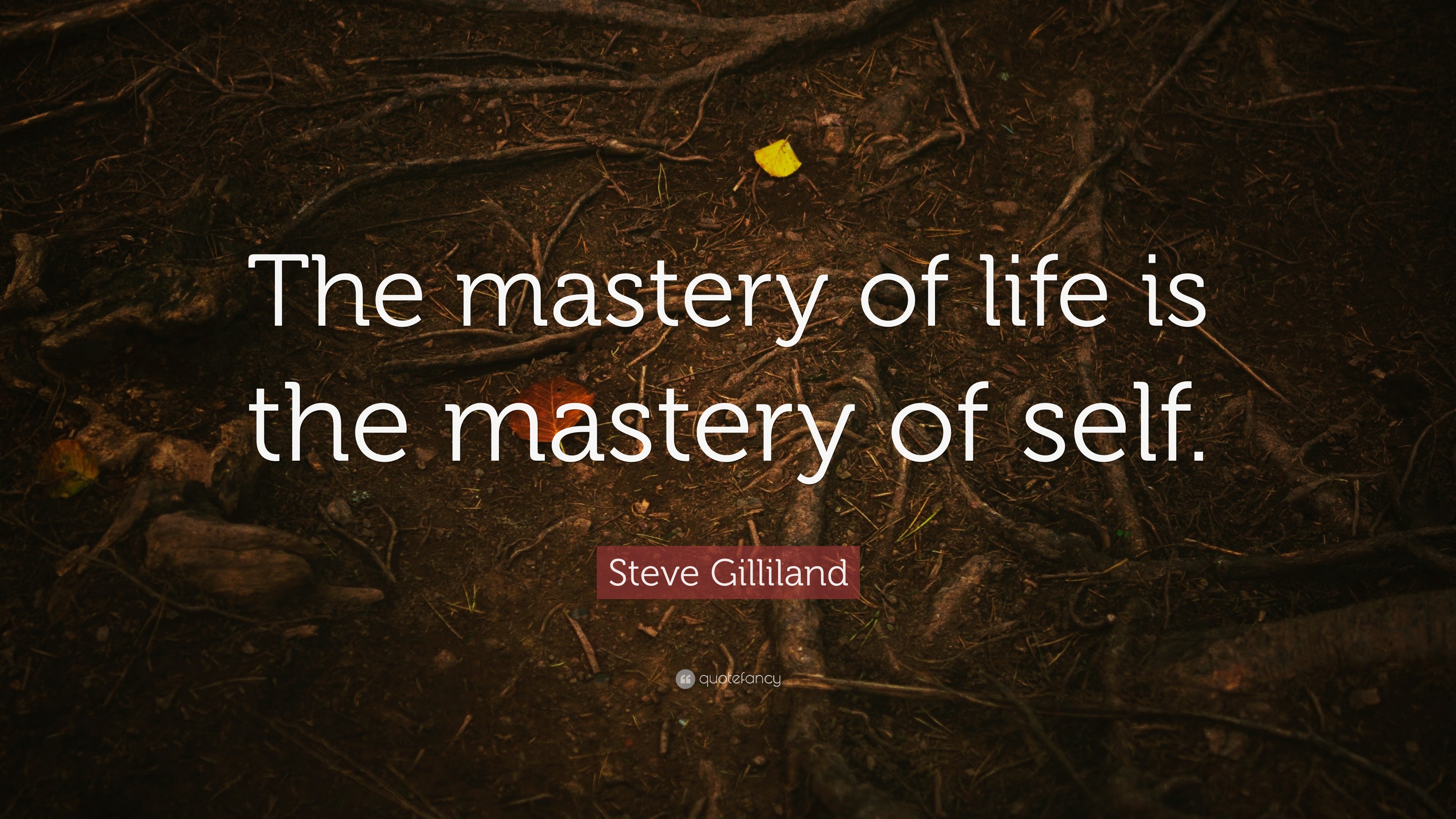 Steve Gilliland Quote: “The mastery of life is the mastery of self.”