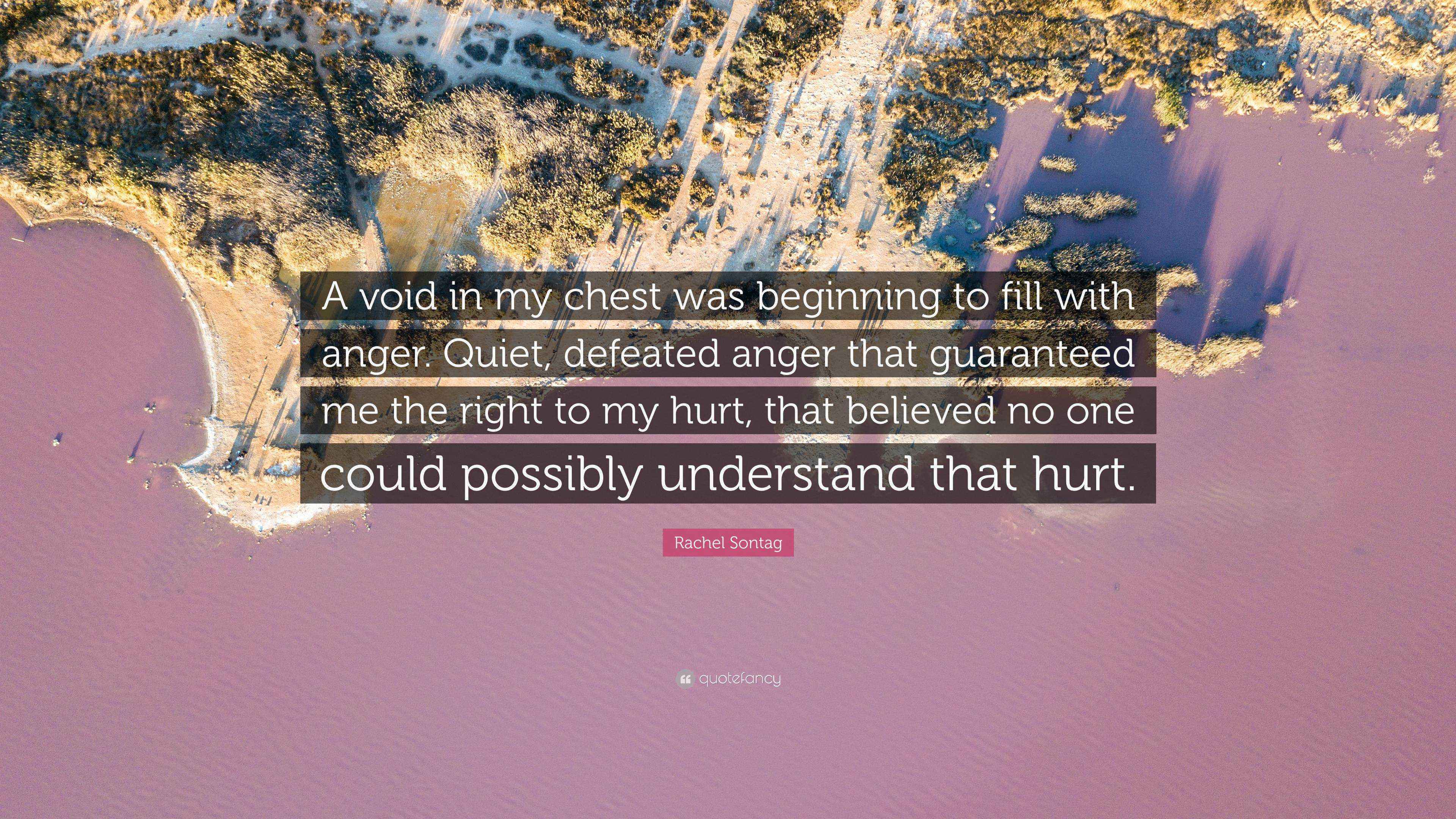 Rachel Sontag Quote: “A void in my chest was beginning to fill with ...