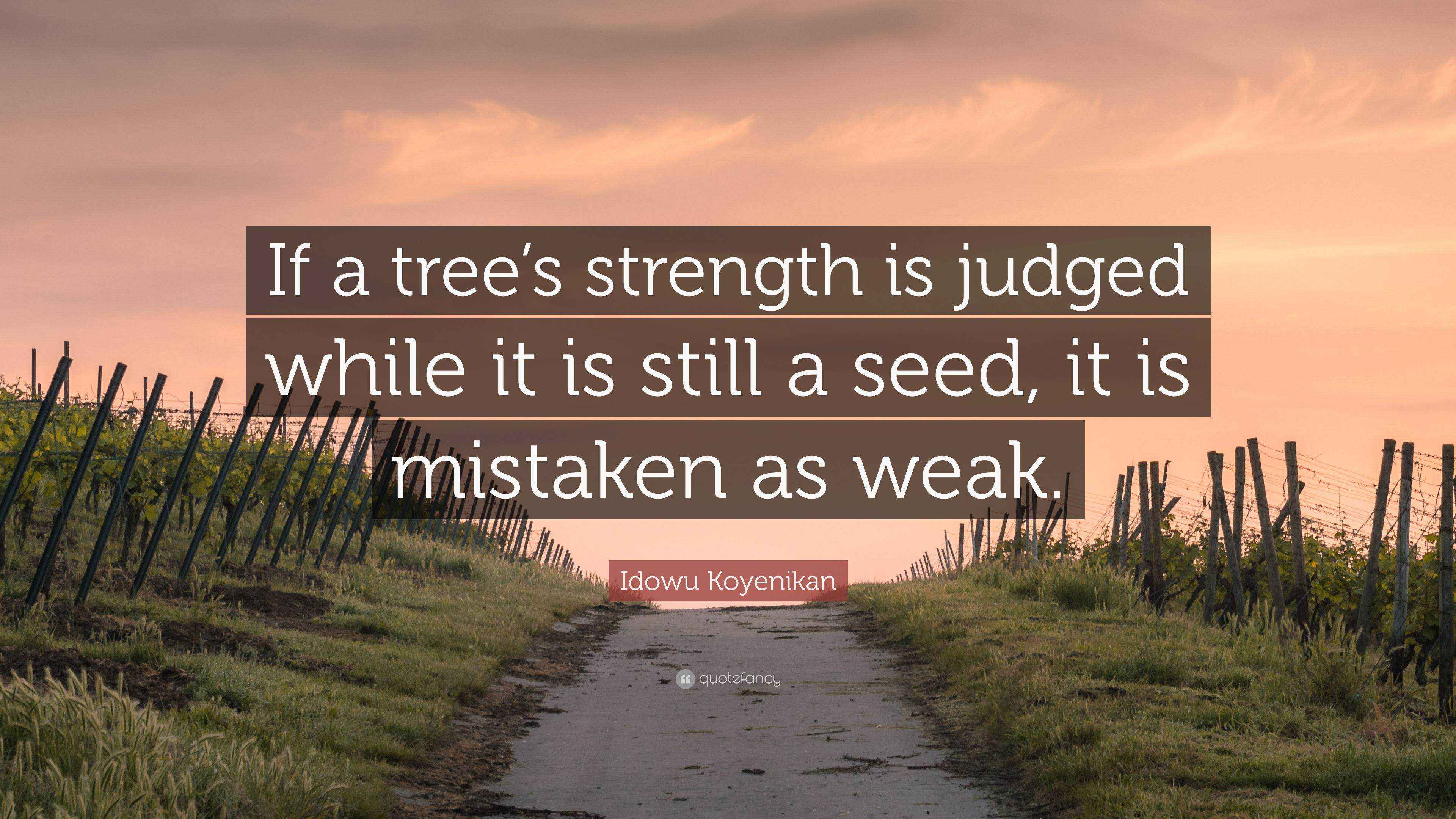 Idowu Koyenikan Quote: “If a tree’s strength is judged while it is ...