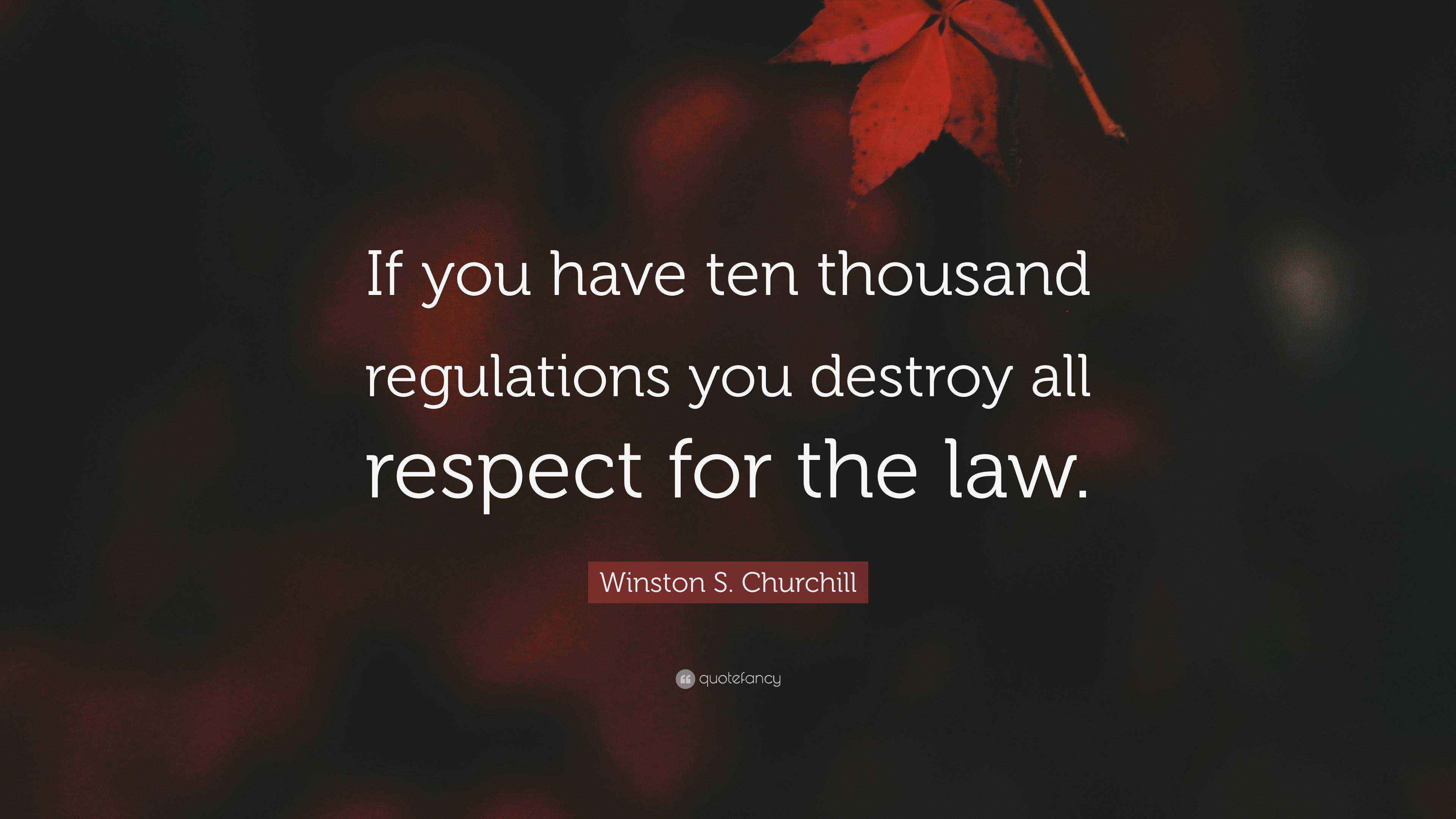 Winston S. Churchill Quote: “If you have ten thousand regulations you ...