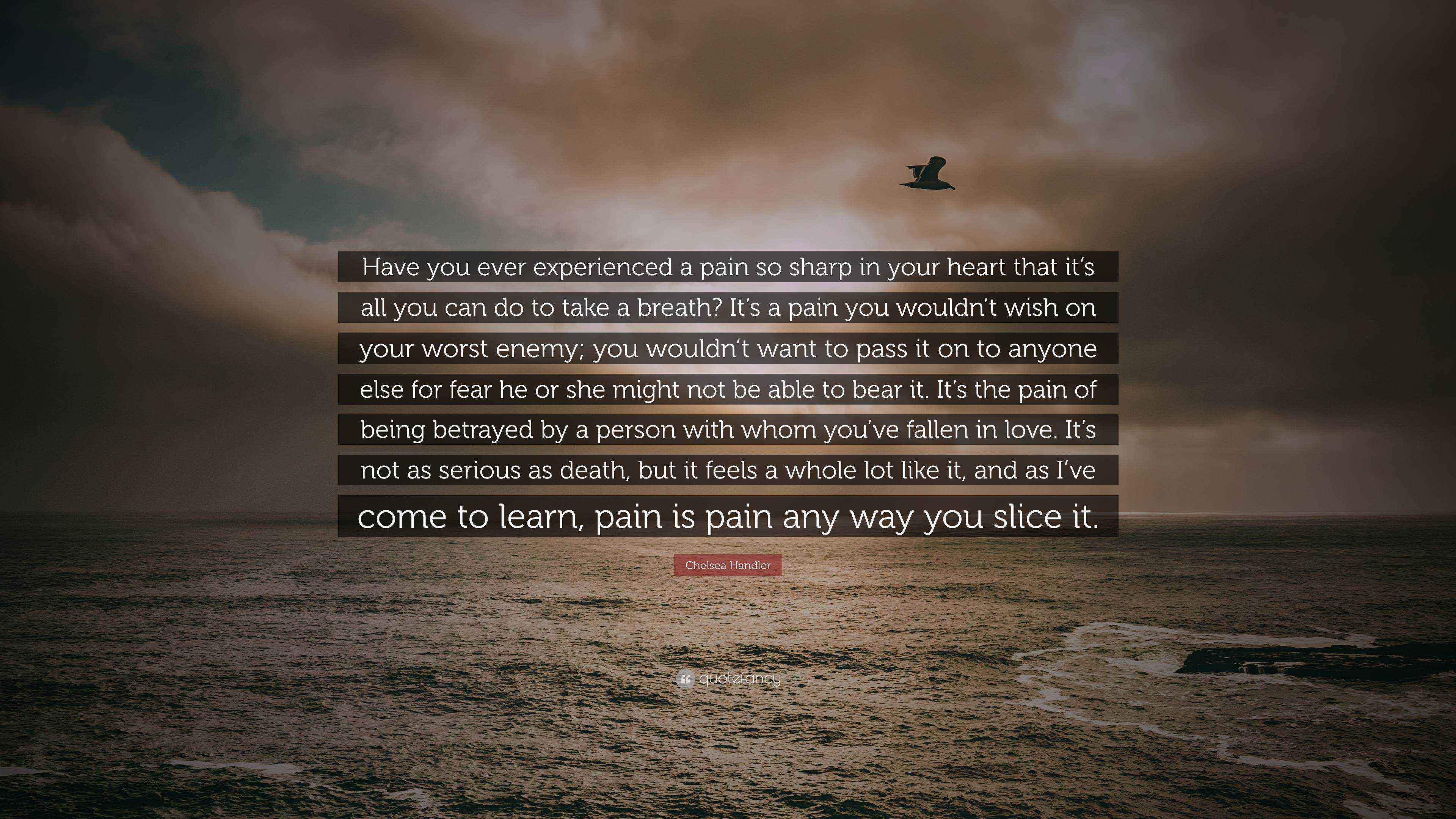 Chelsea Handler Quote: “Have you ever experienced a pain so sharp in ...