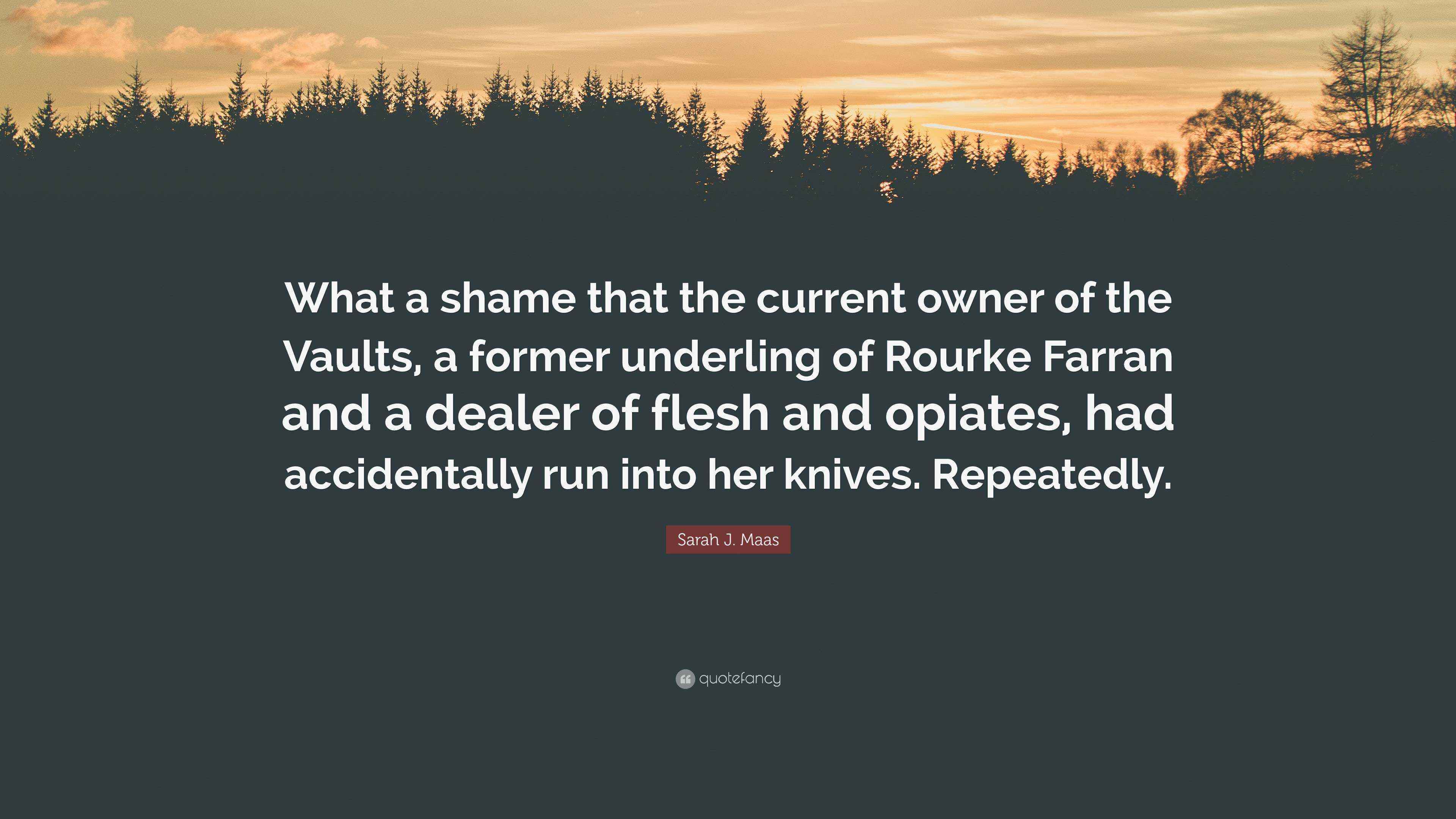 Sarah J. Maas Quote: “What a shame that the current owner of the Vaults ...