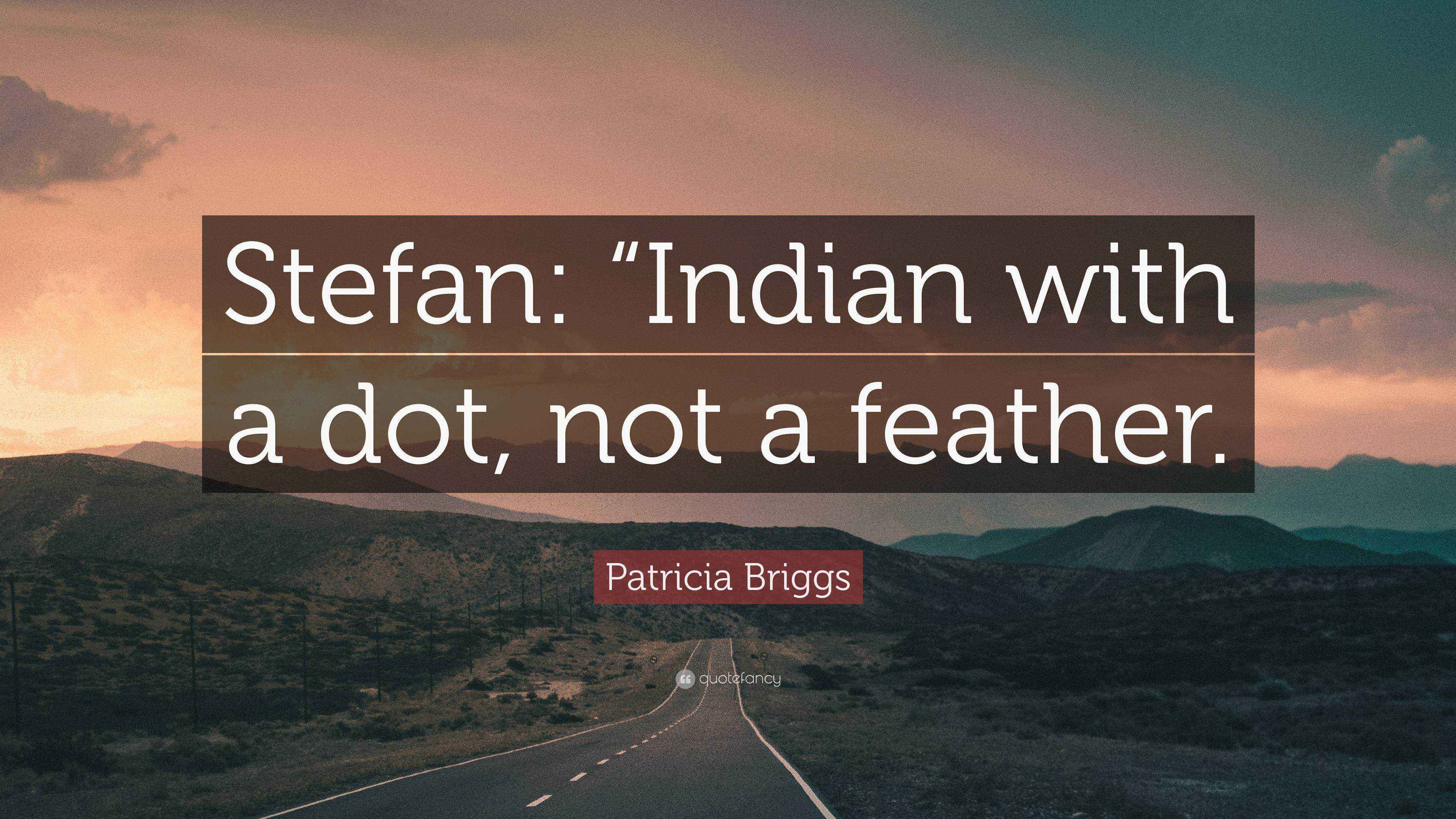 Patricia Briggs Quote: “Stefan: “Indian with a dot, not a feather.”
