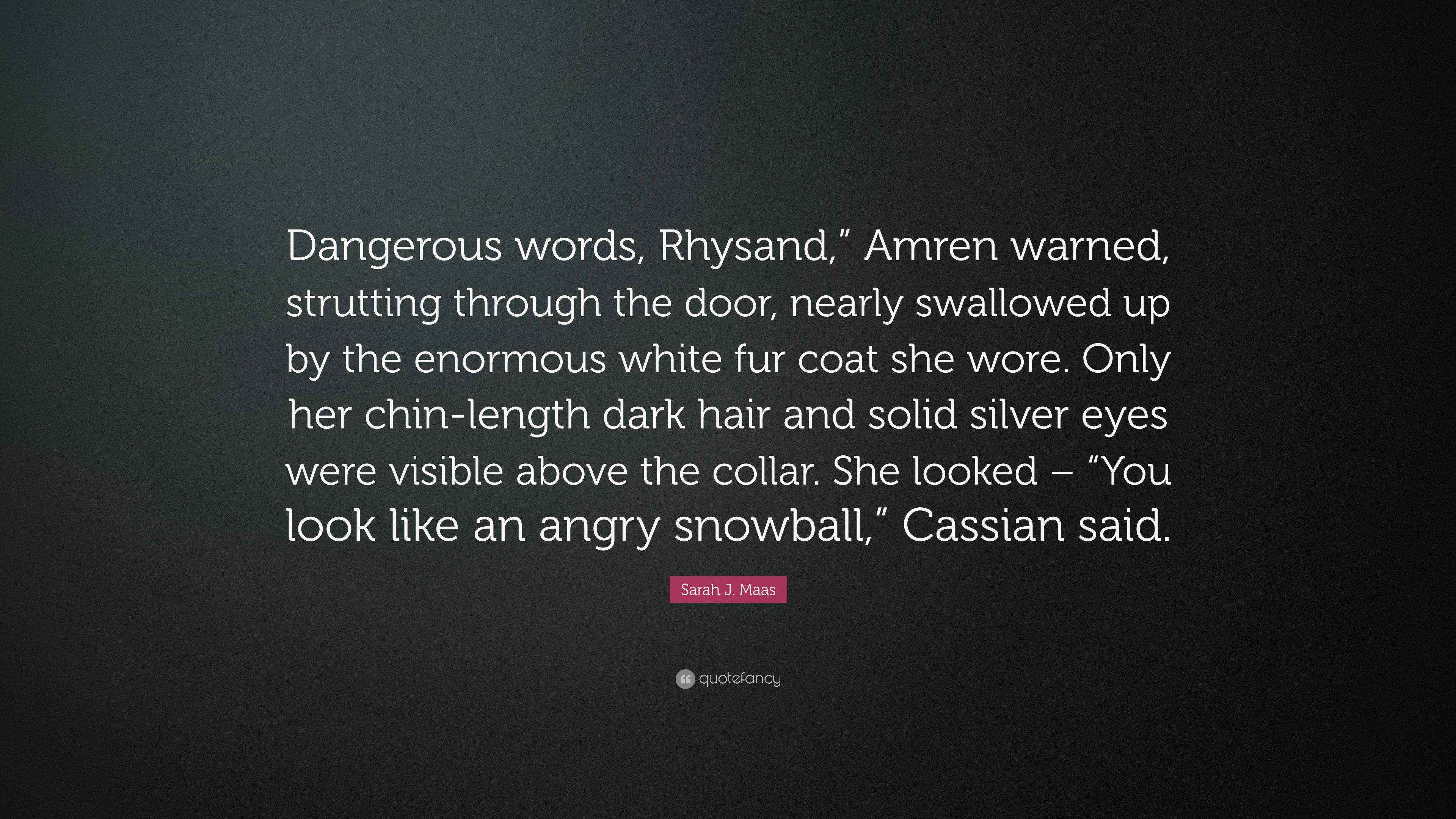 Sarah J. Maas Quote: “Dangerous words, Rhysand,” Amren warned ...