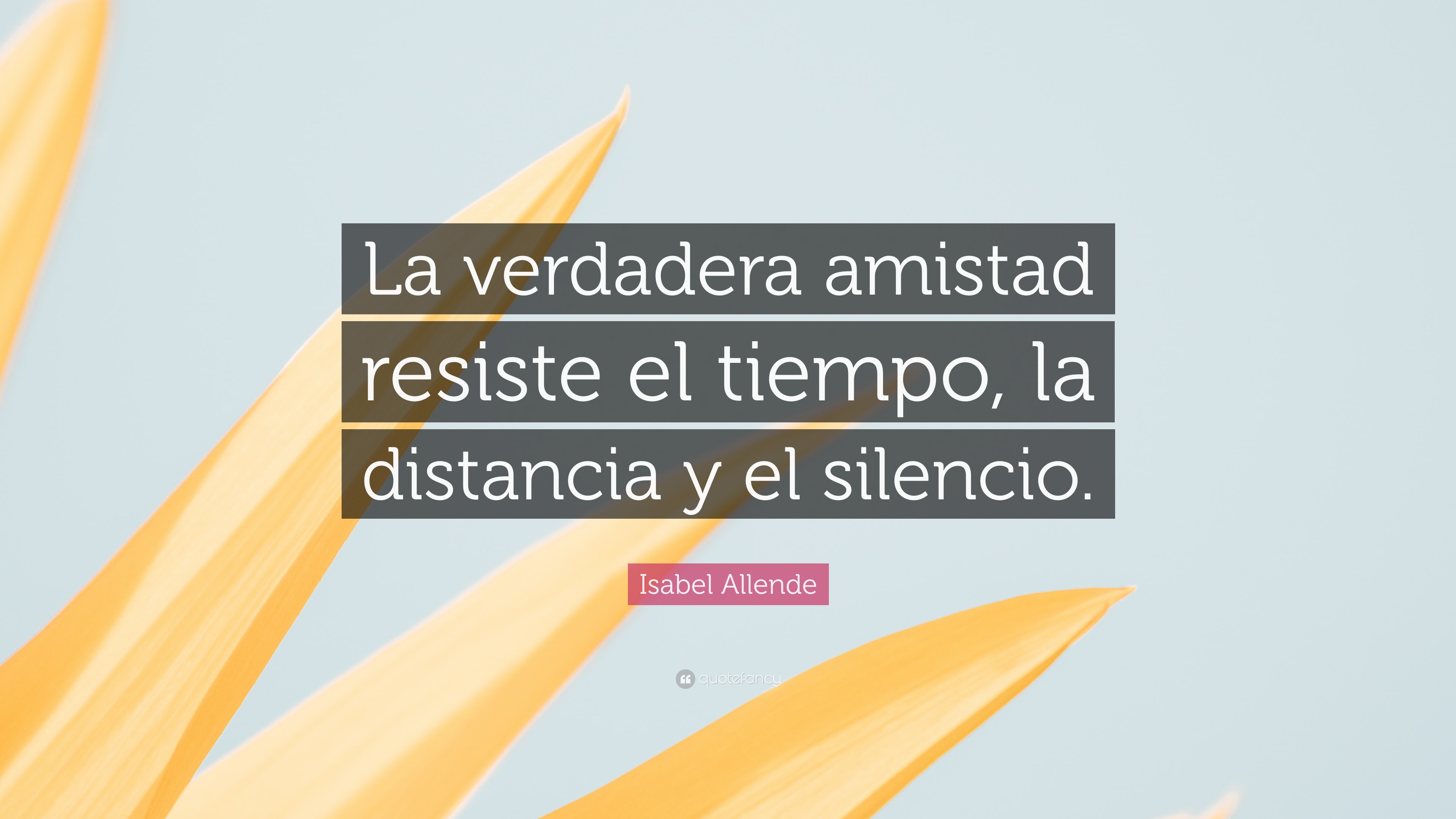 Verdadera Amistad Quotes 350 Frases De Amistad Para Demostrar A Tus