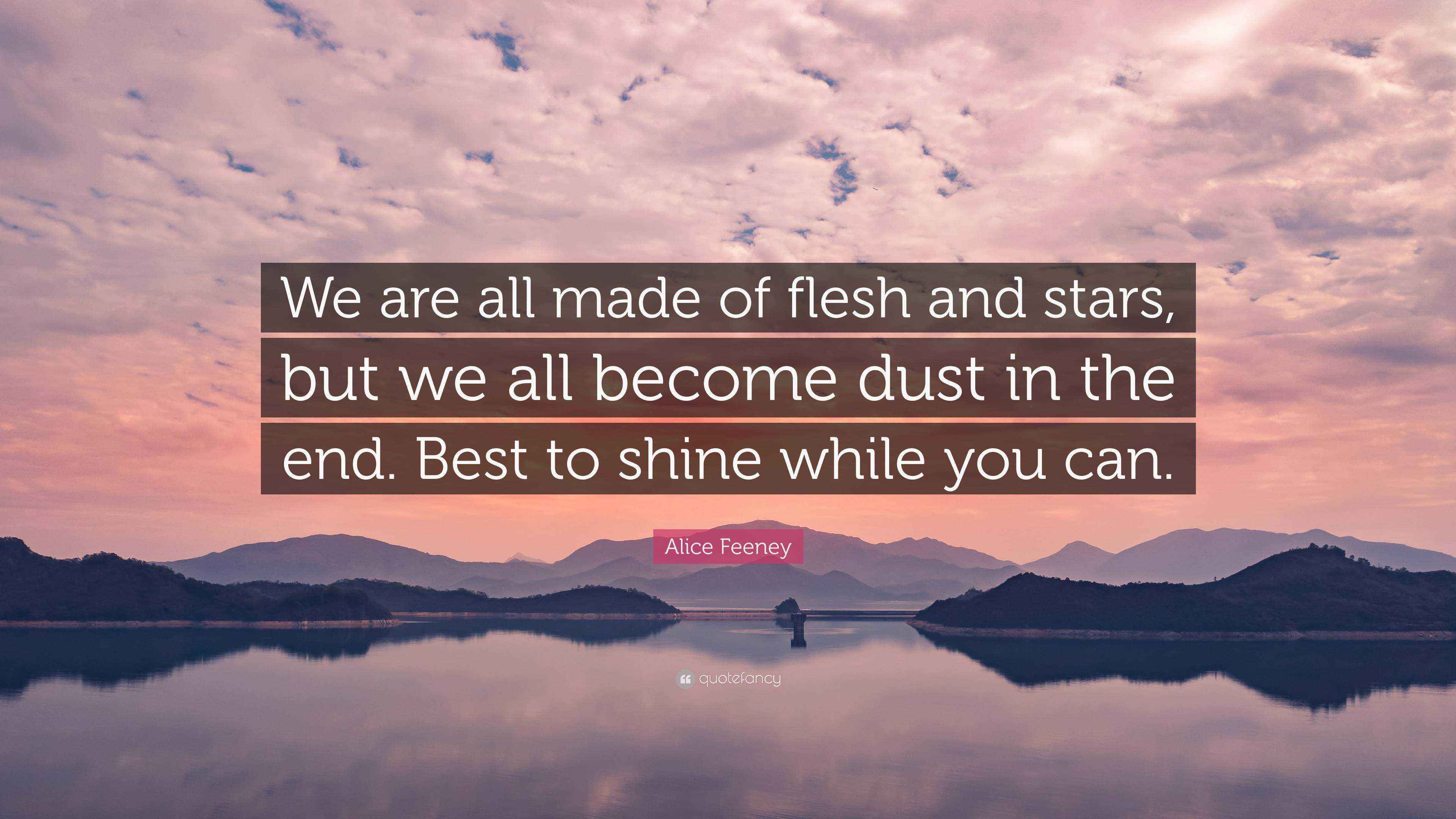 Alice Feeney Quote: “We are all made of flesh and stars, but we all ...