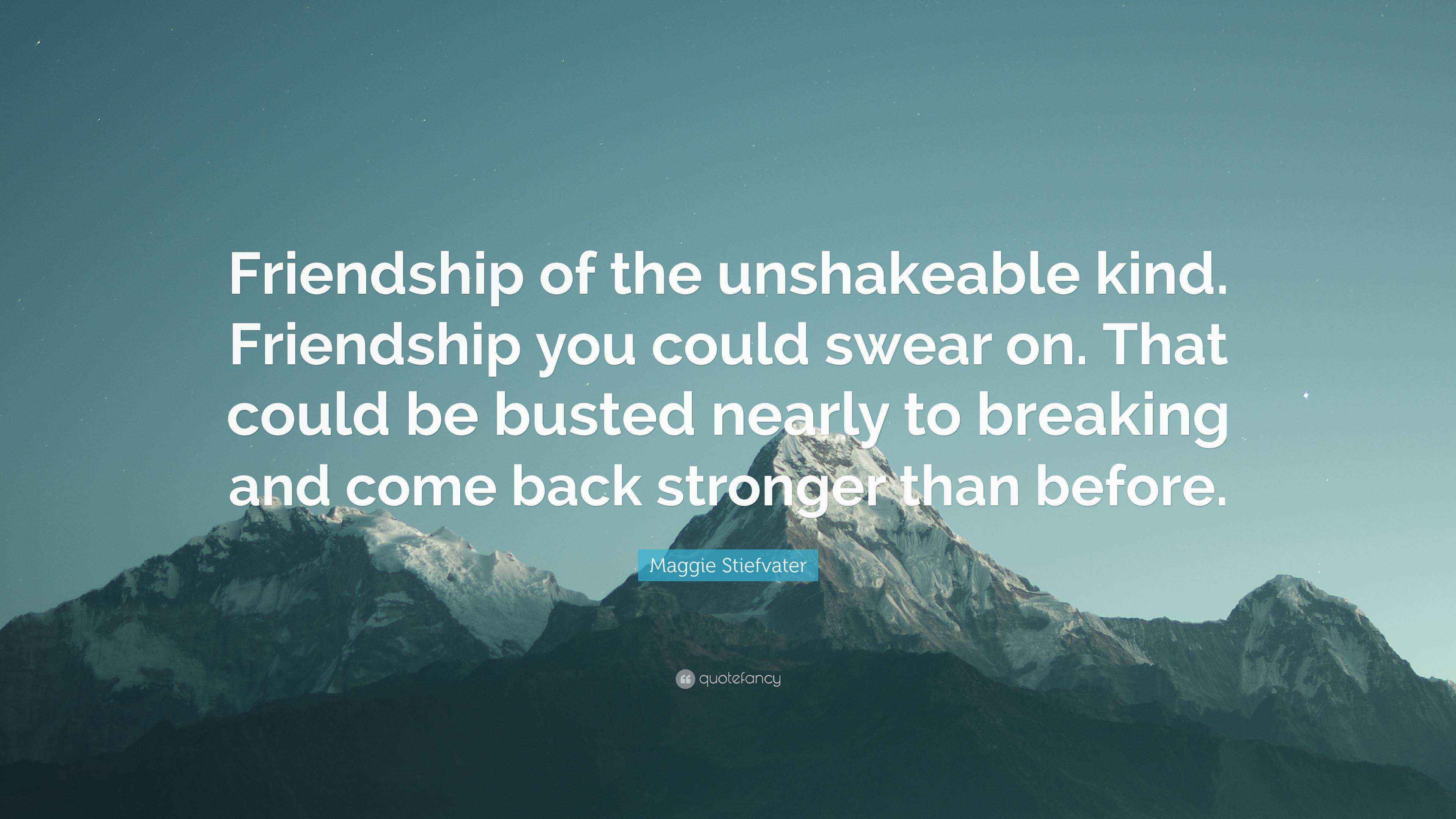 Maggie Stiefvater Quote: “Friendship of the unshakeable kind ...
