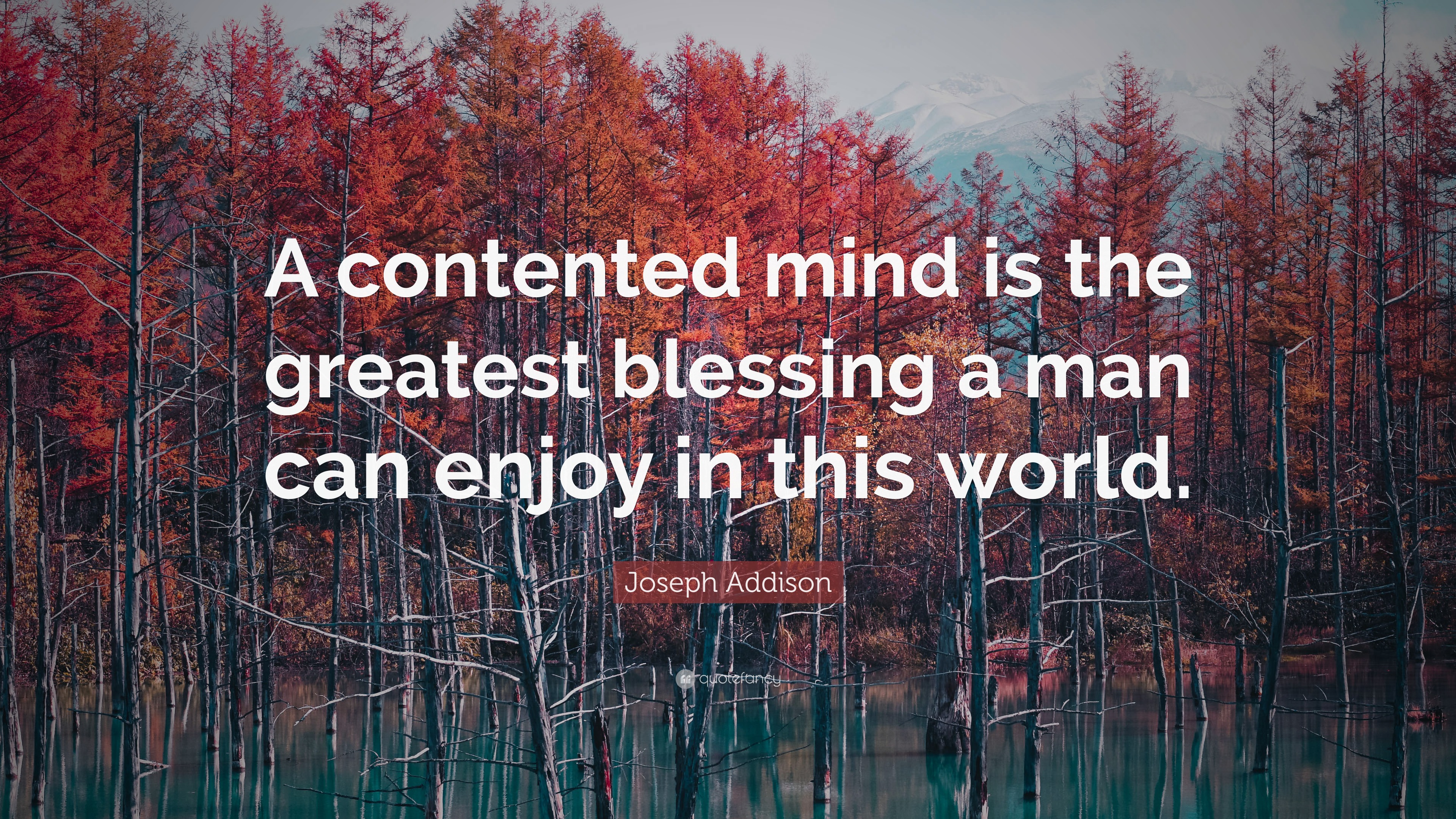 Joseph Addison Quote: “A contented mind is the greatest blessing a man ...
