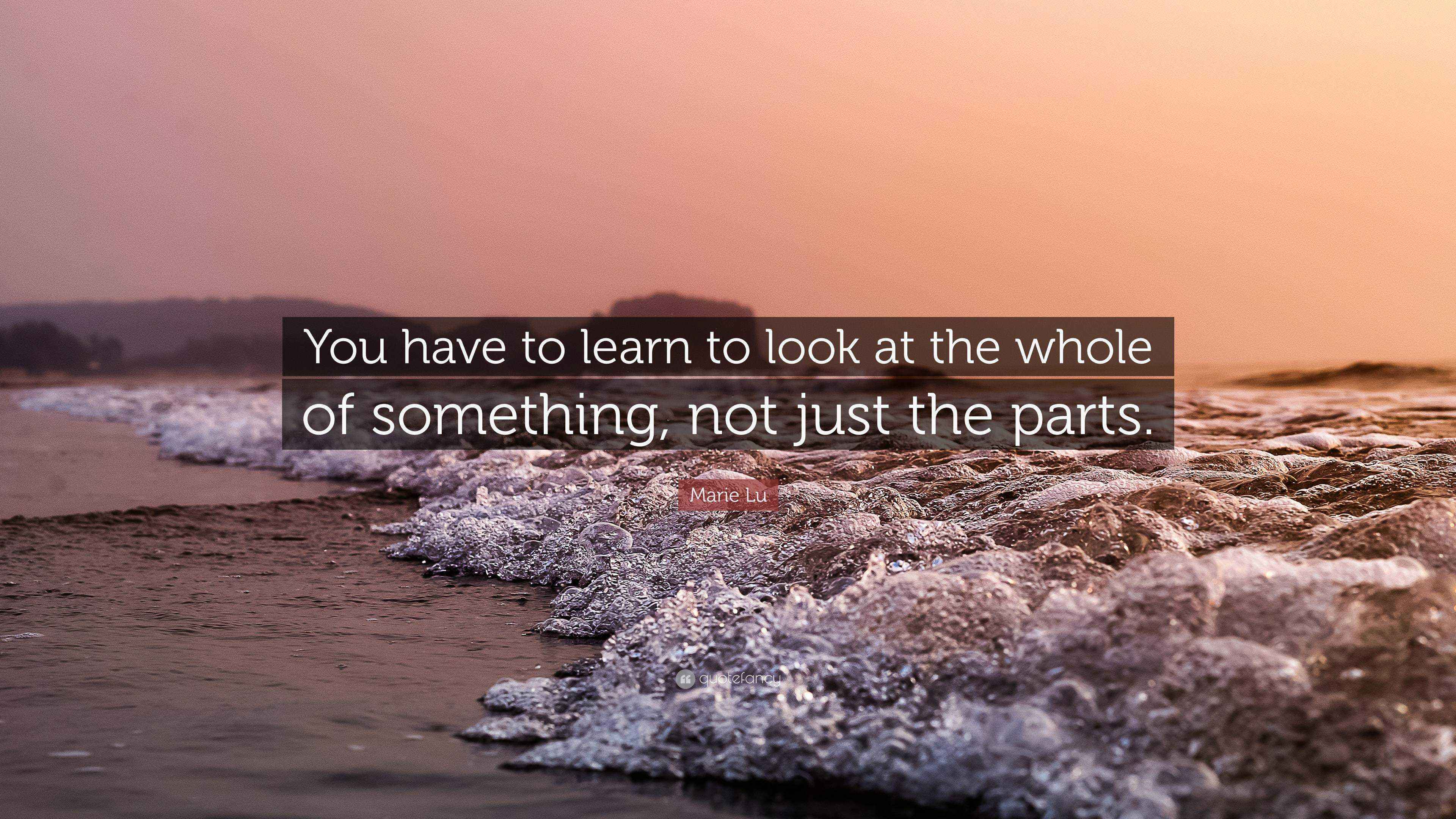 Marie Lu Quote: “You have to learn to look at the whole of something ...