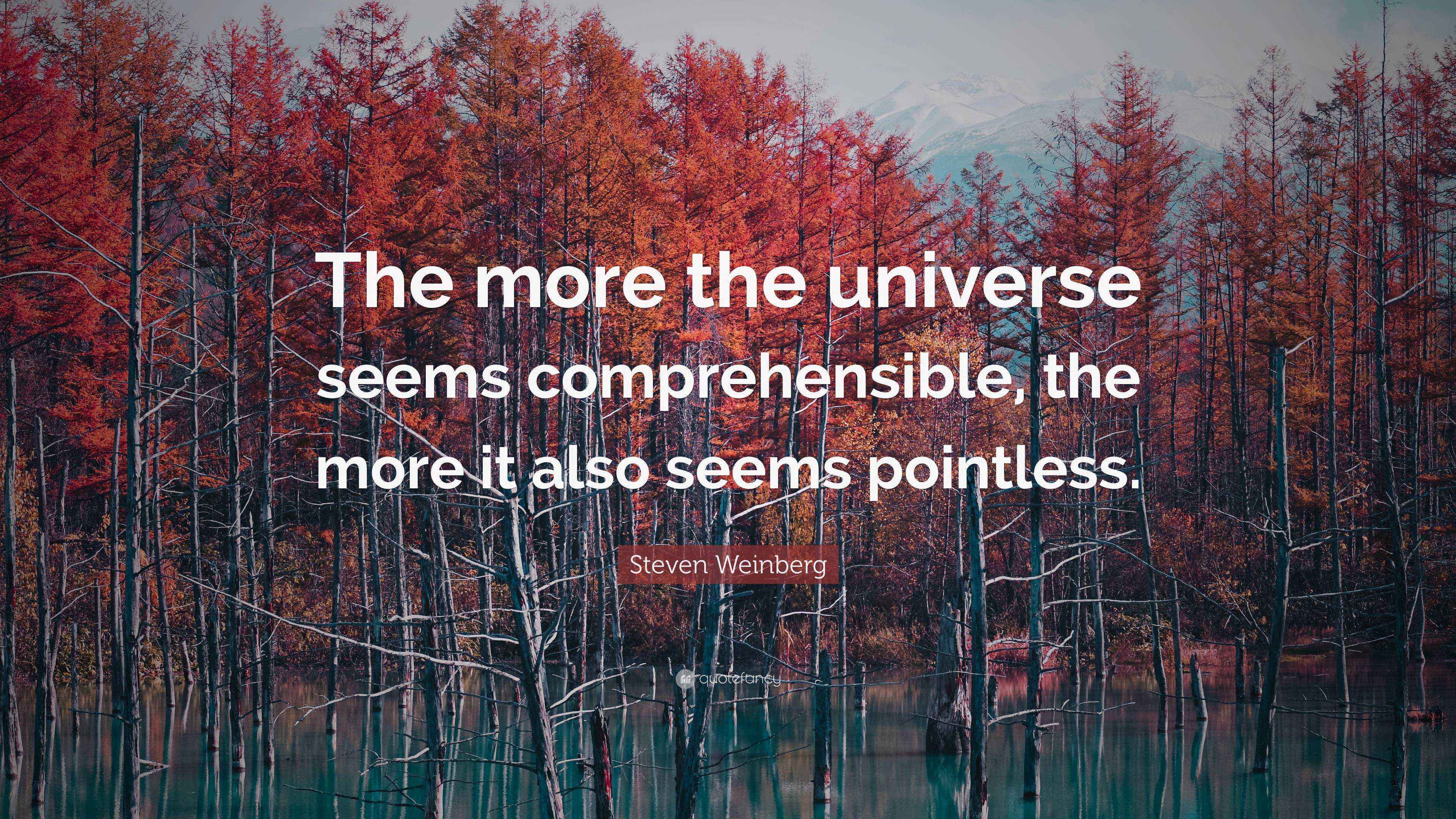 Steven Weinberg Quote: “The more the universe seems comprehensible, the ...