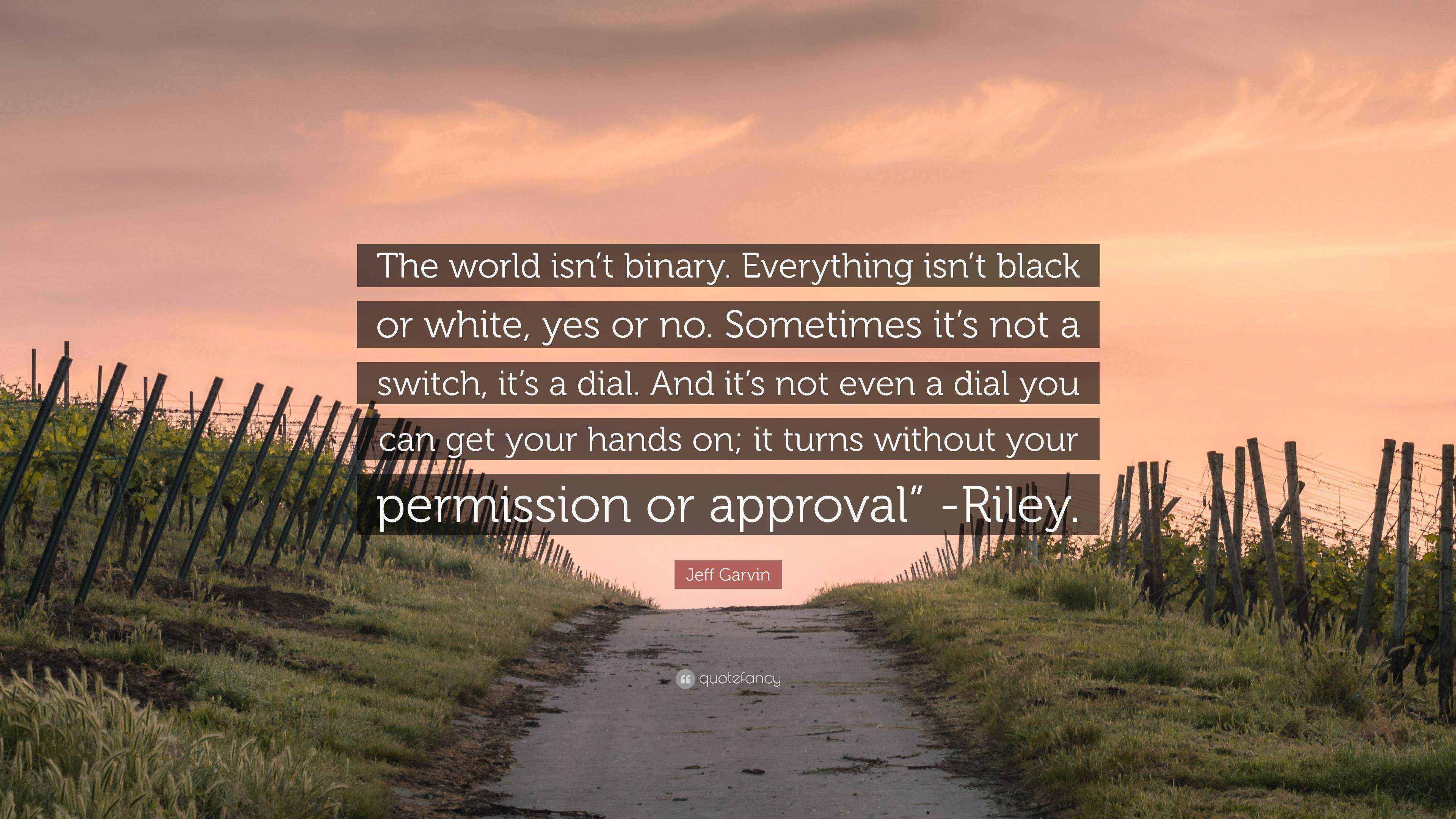 Jeff Garvin Quote: “The world isn’t binary. Everything isn’t black or ...