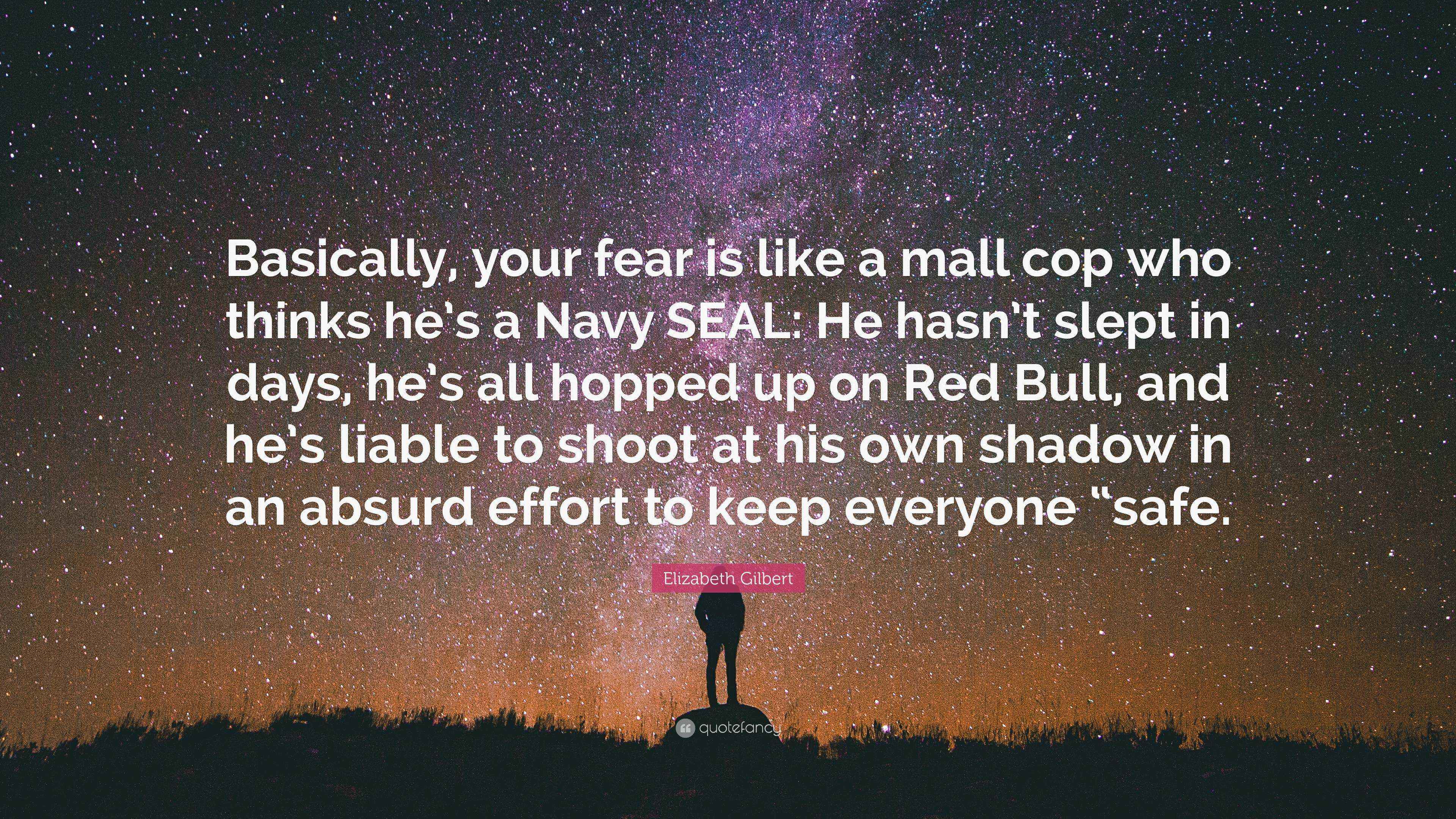 Elizabeth Gilbert Quote: “Basically, your fear is like a mall cop who ...